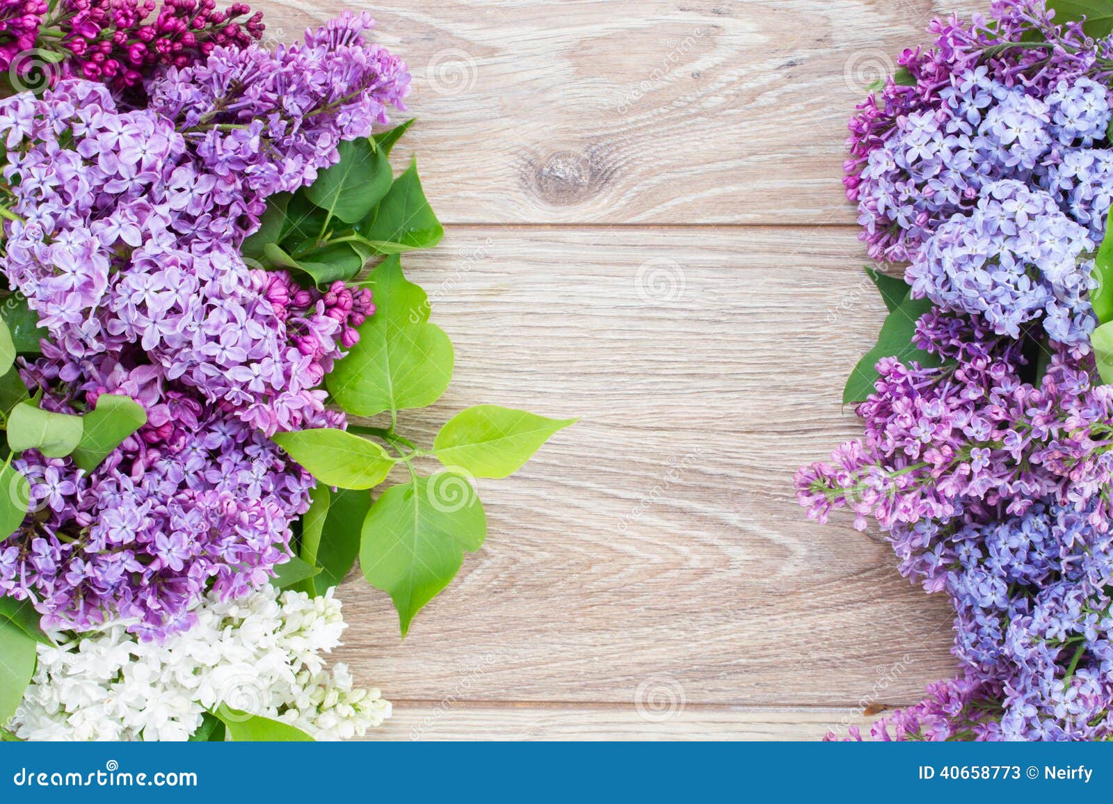Fresh lilac flowers frame stock image. Image of bush - 40658773