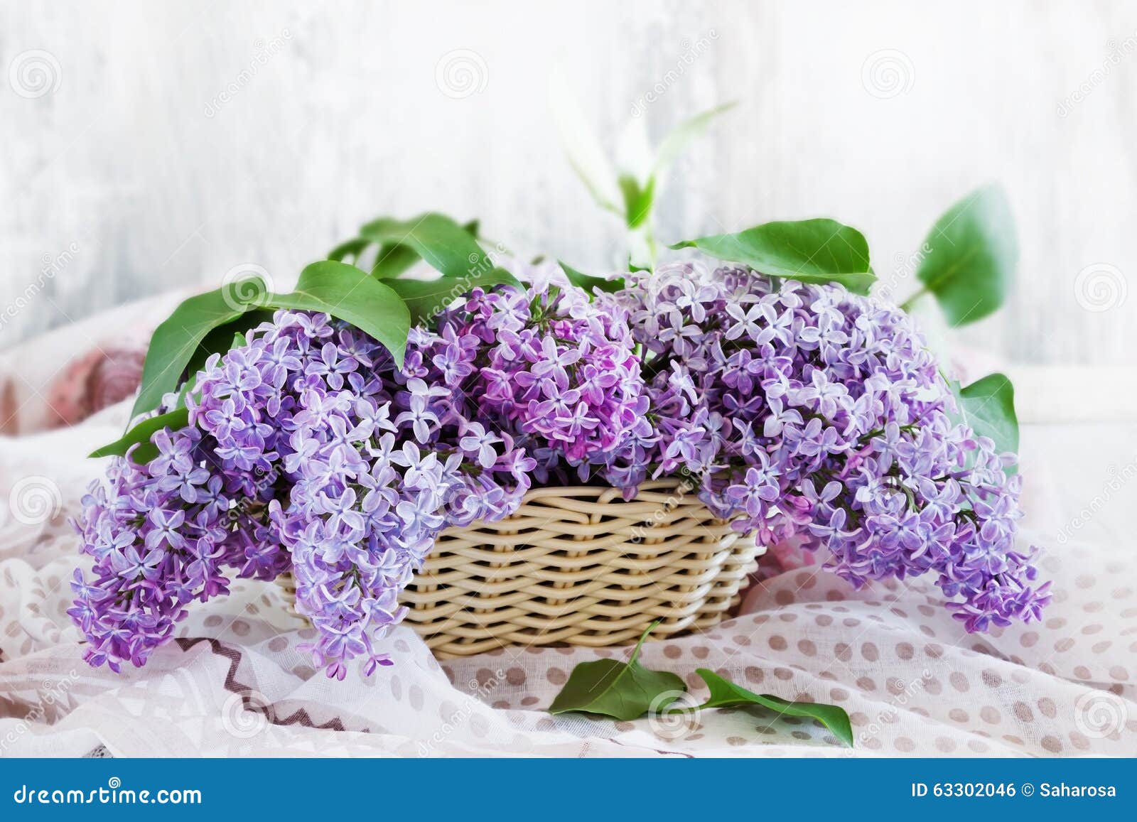 Fresh lilacs in a basket stock photo. Image of fragrant - 63302046