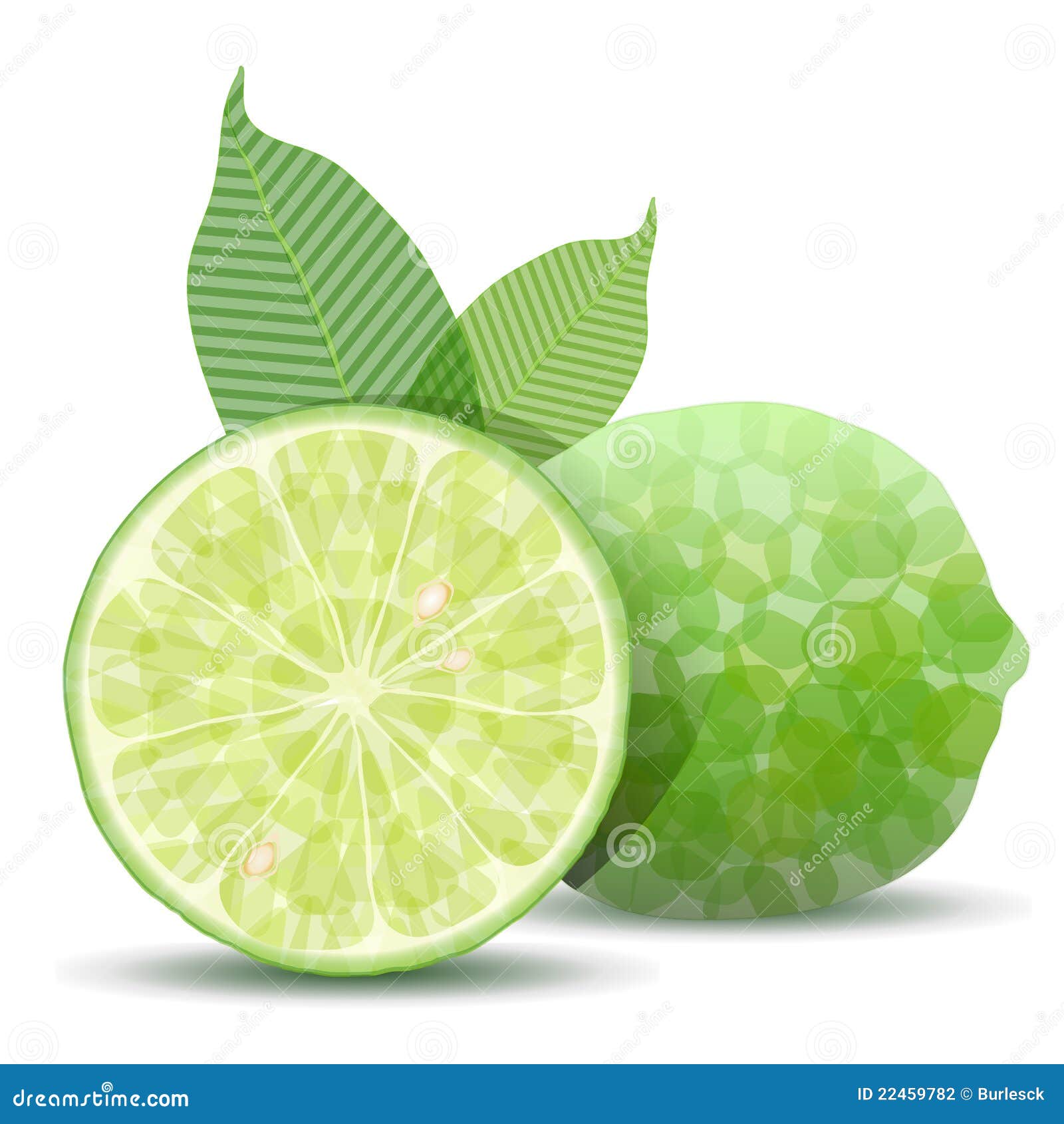 Fresh Lime stock vector. Illustration of mirror, cold - 22459782