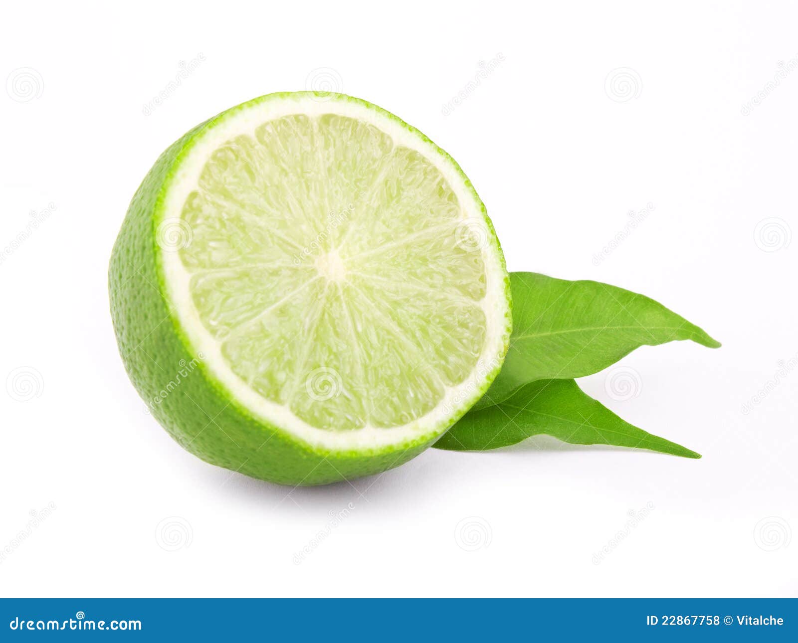 Fresh lime stock photo. Image of vitamin, leaf, lemon - 22867758