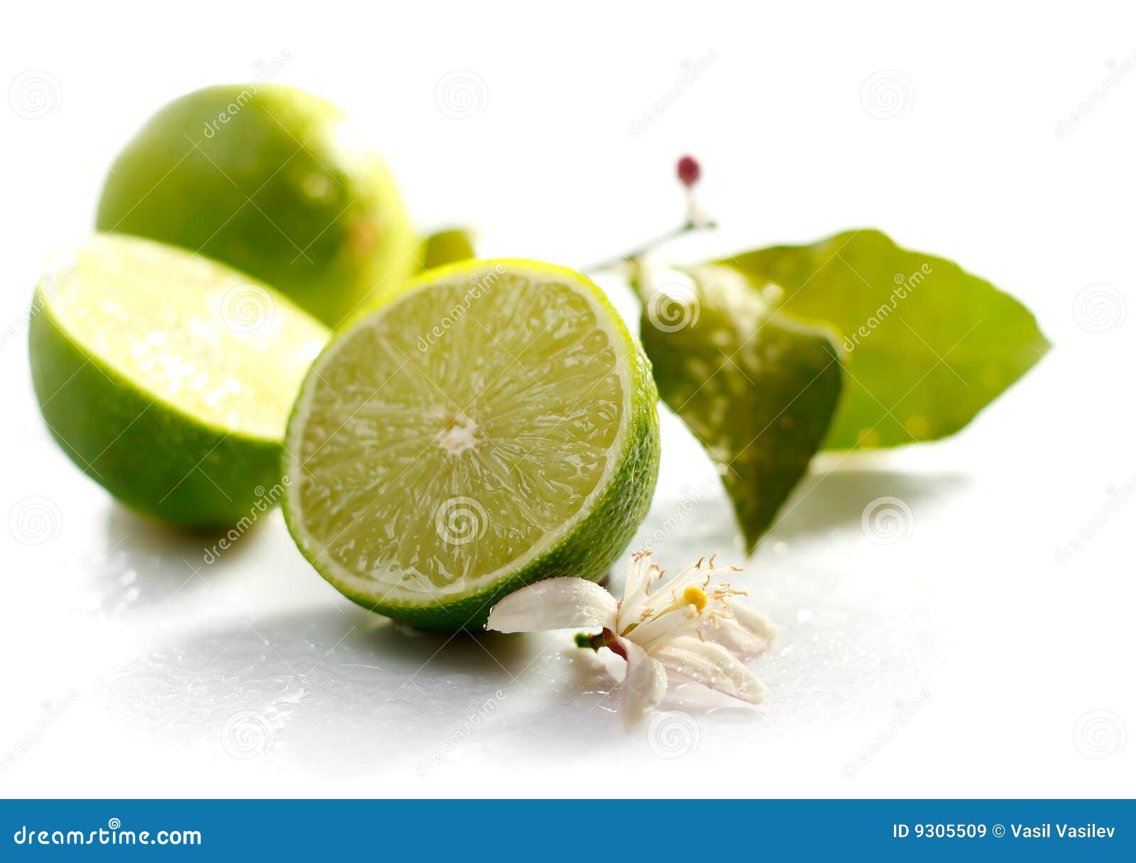 Fresh lime stock image. Image of lime, fruit, drink, juicy - 9305509
