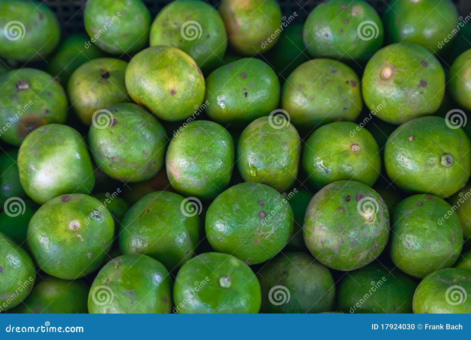 Fresh lime fruits stock photo. Image of cookery, vitamins - 17924030