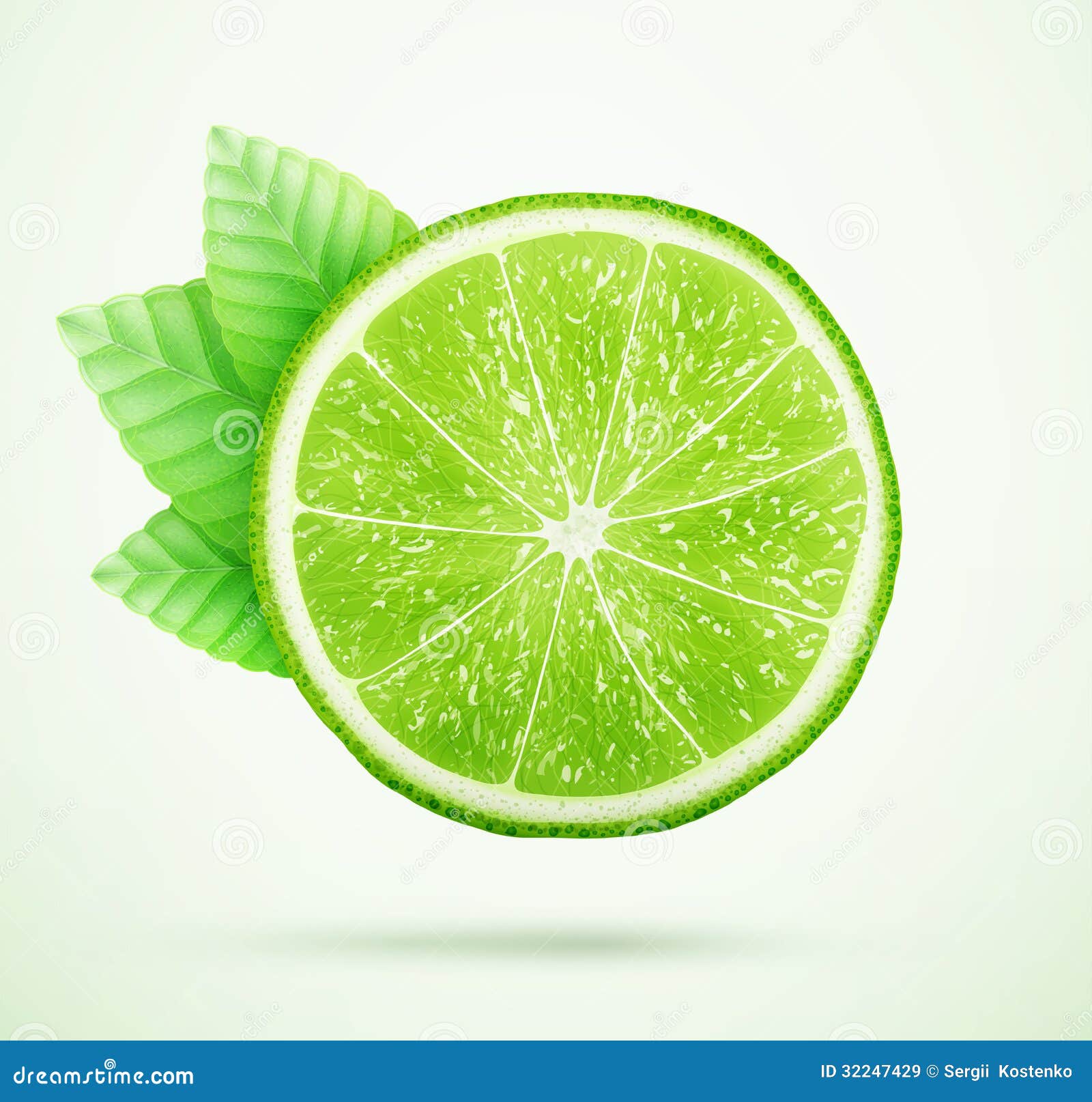 Fresh lime with leaves stock vector. Illustration of mojito - 32247429