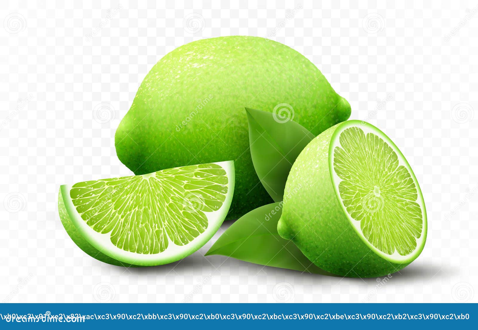 Fresh Lime Set, with Various View of Whole Lime Fruit, Halves and ...