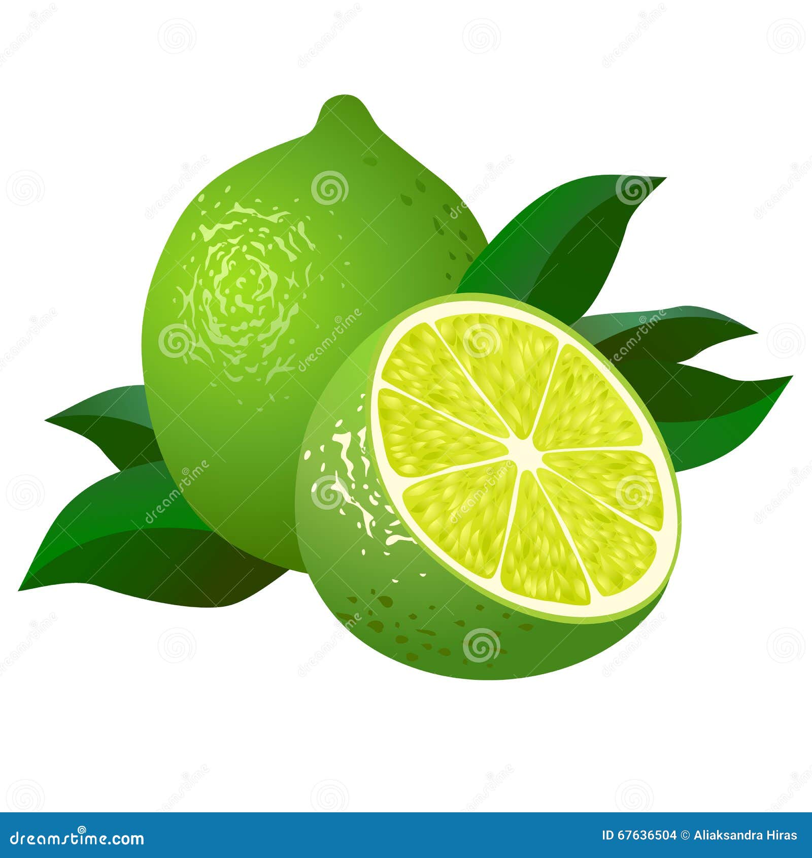 Lime Vector