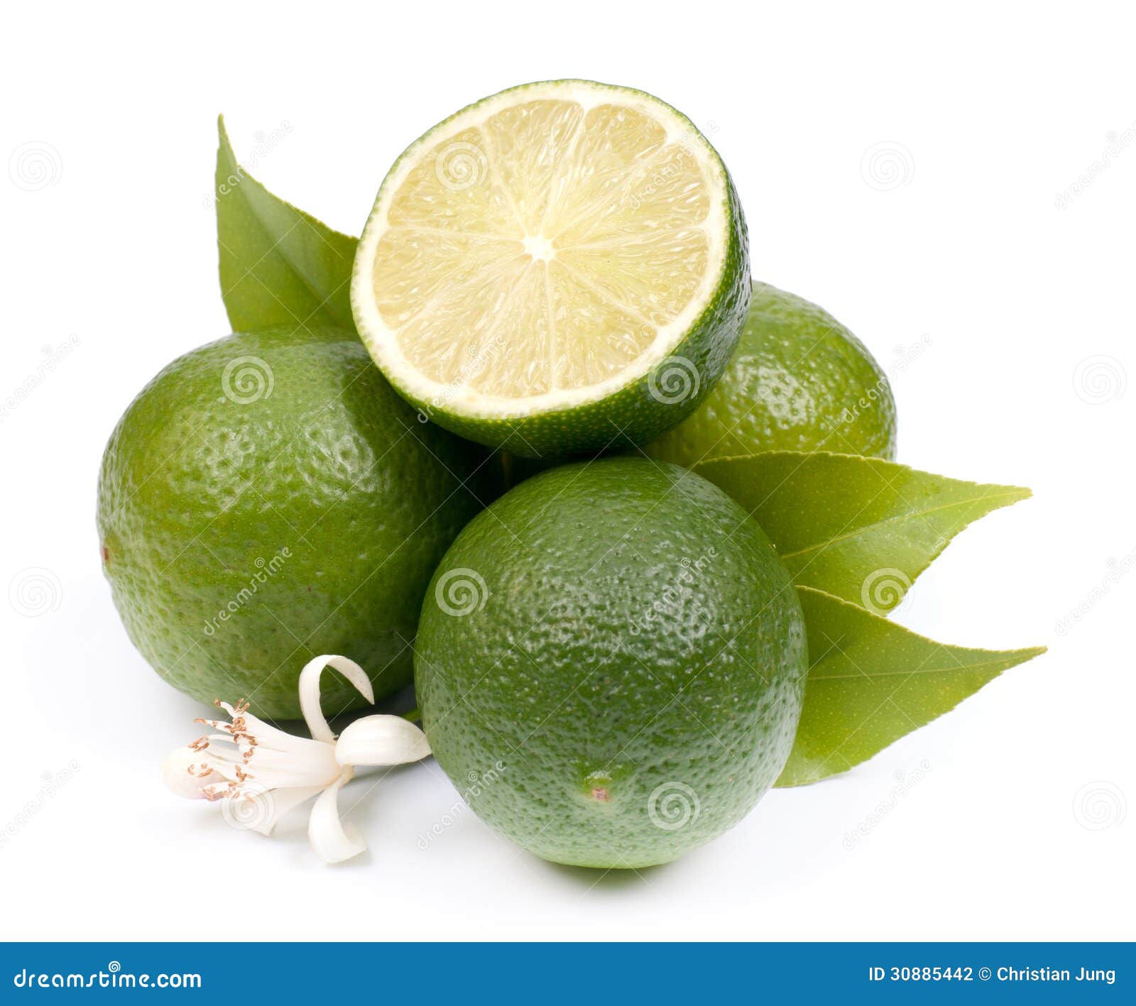 Fresh limes stock photo. Image of green, organic, fruit - 30885442