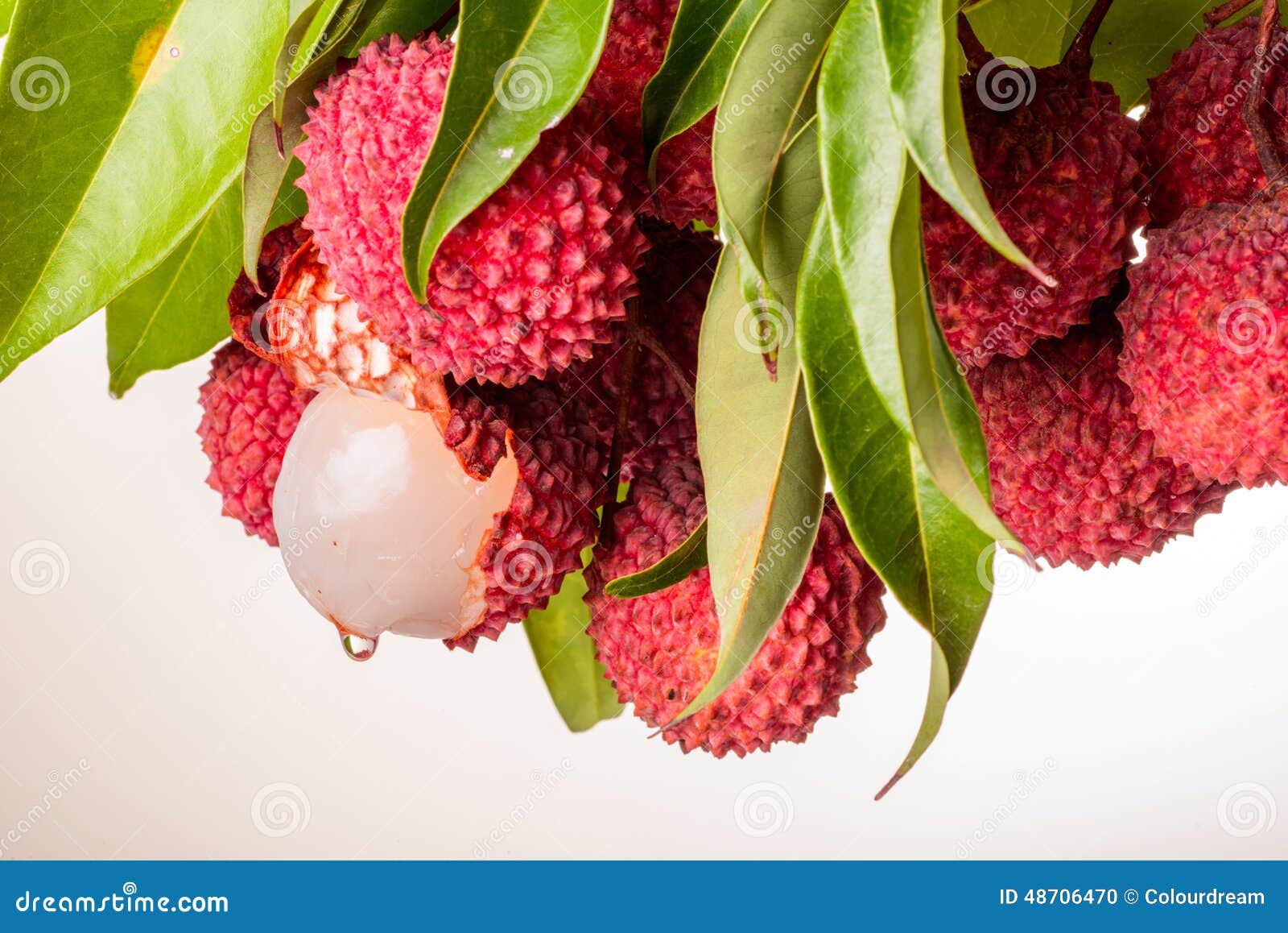 Fresh Of Litchi Fruit. Organic Lychee Pile From Local Agriculture Farm ...