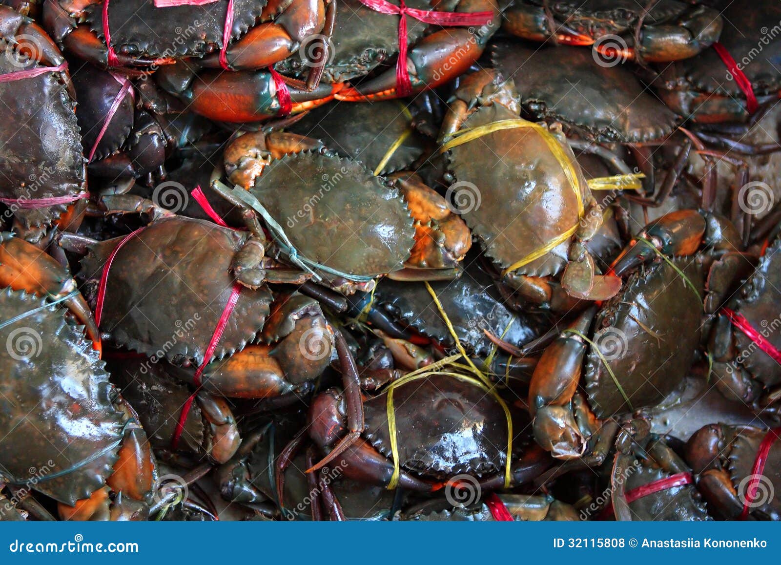 Fresh Live Crabs on the Market in India Stock Photo - Image of close ...