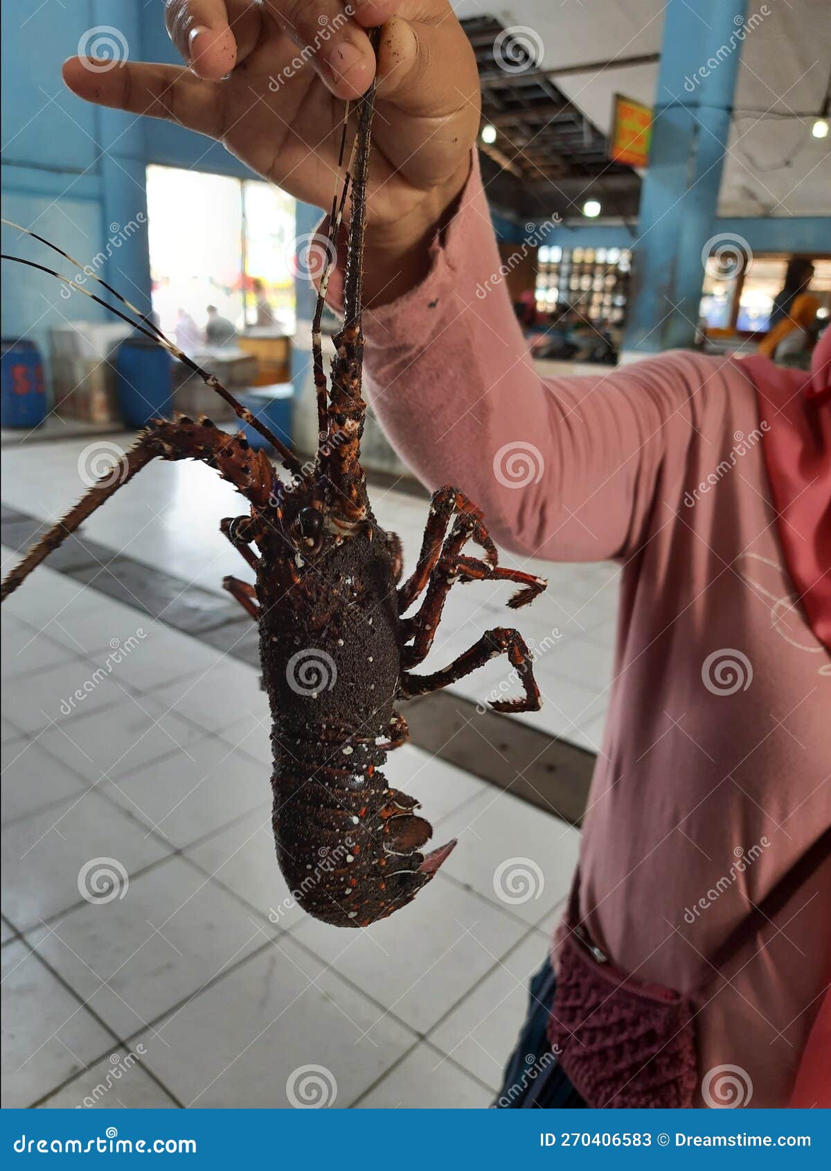 A Fresh Lobster from the Fish Market Stock Image - Image of market ...