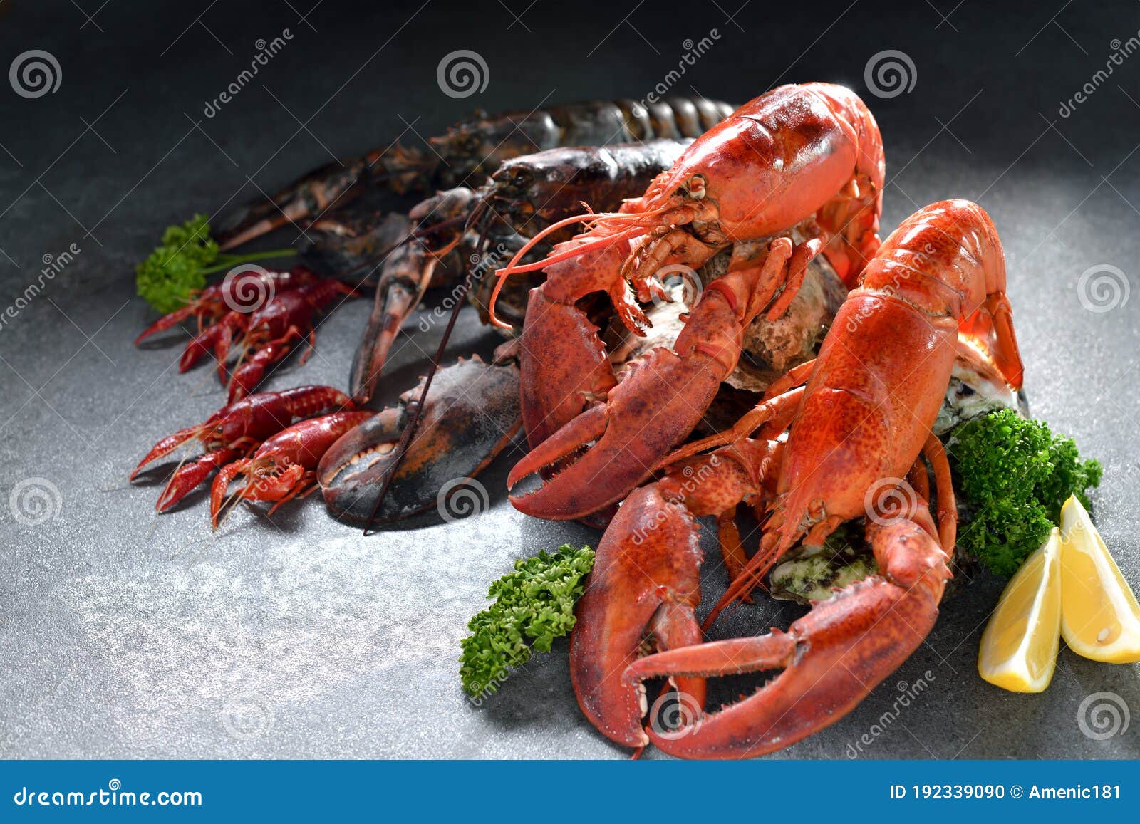 Lobsters seafood stock photo. Image of washing, lobsters - 192339090