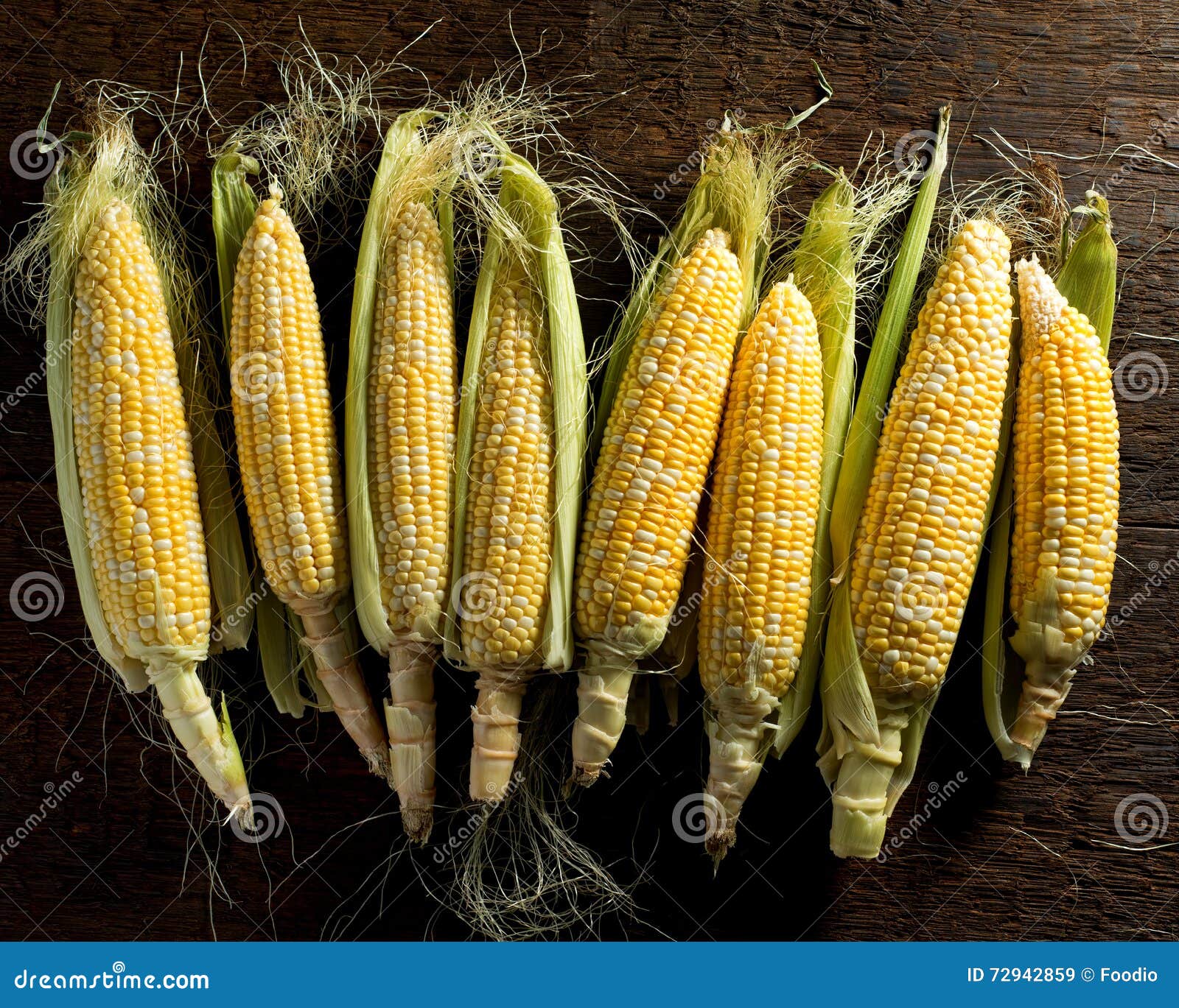 The Old Organic Corn Royalty-Free Stock Photography | CartoonDealer.com ...