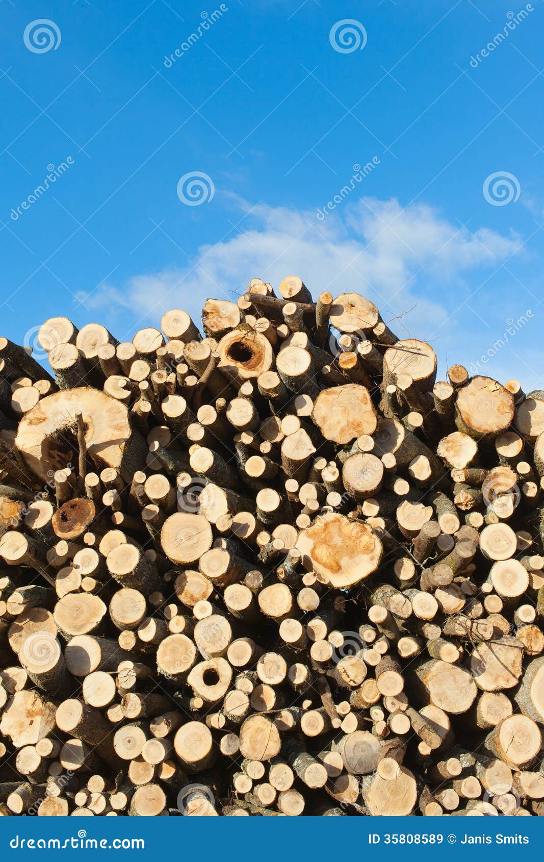 Fresh logs. stock image. Image of harvest, stacking, pile - 35808589