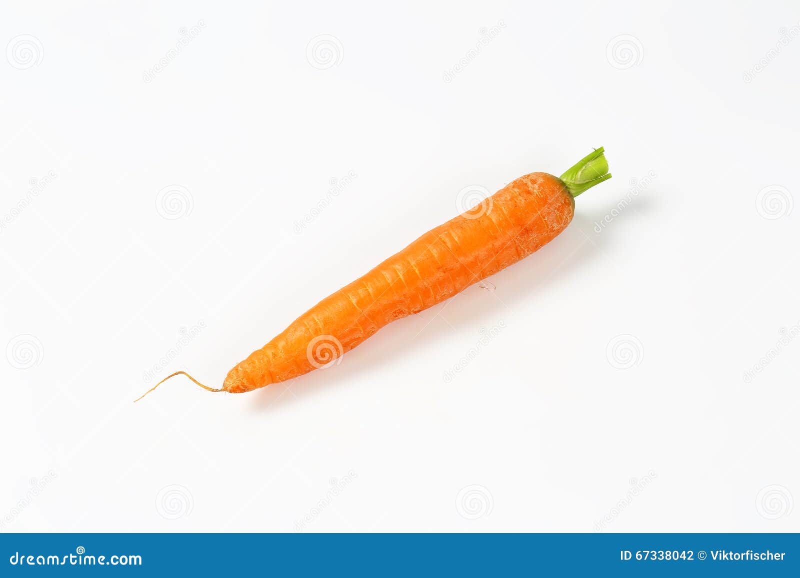 Fresh long carrot stock photo. Image of natural, green - 67338042