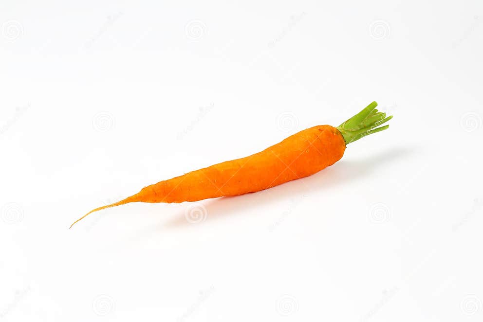 Fresh long carrot stock image. Image of stem, healthy - 67338249