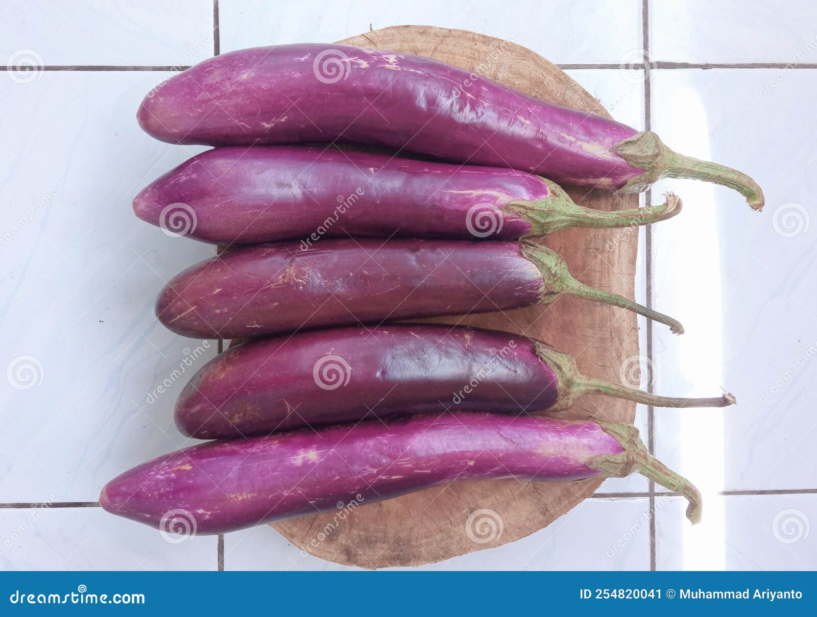 Fresh Long and Large Purple Eggplant Stock Image - Image of eggplant ...