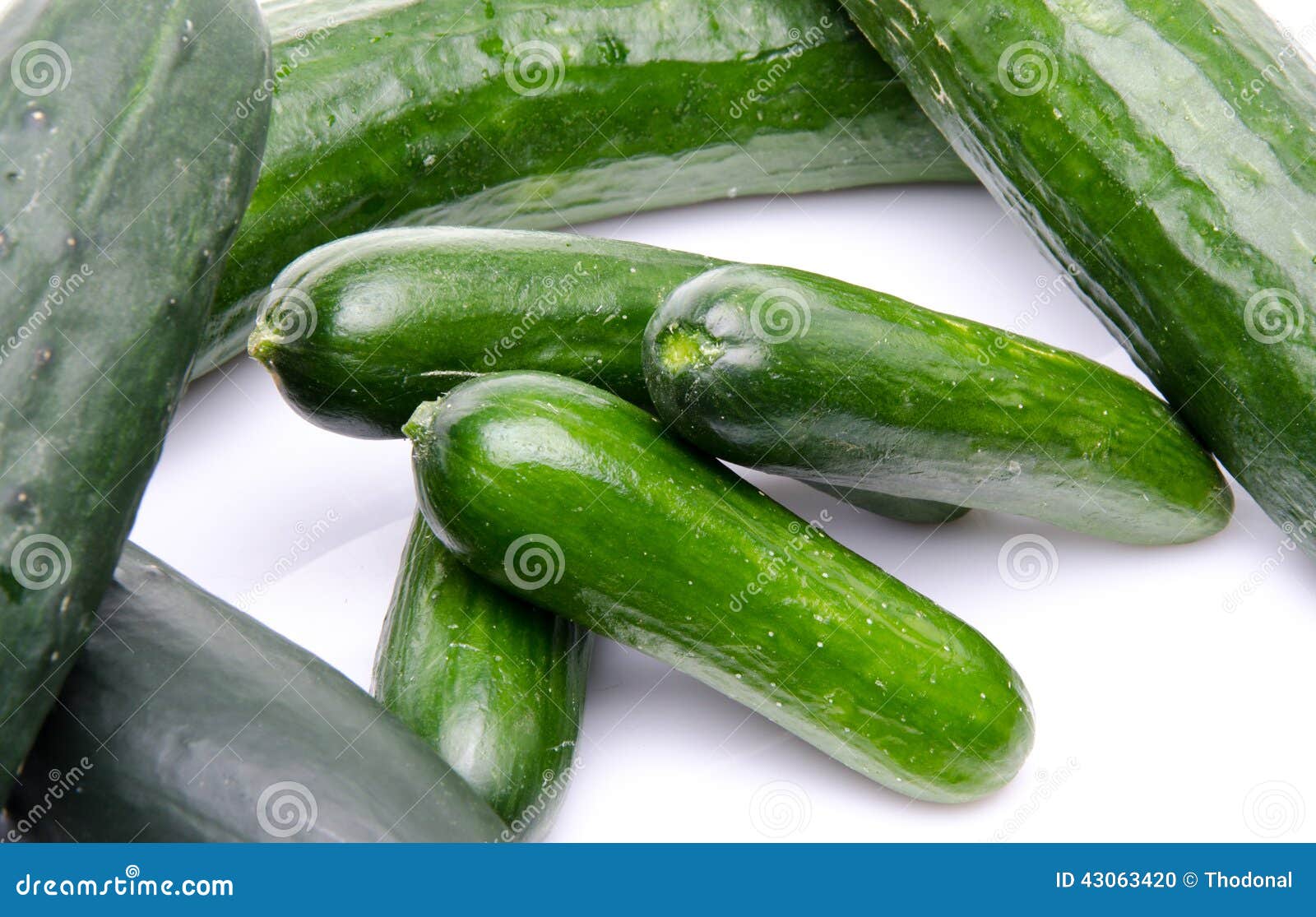 Fresh Long and Mini Cucumbers Stock Photo - Image of tasty, vegetarian ...