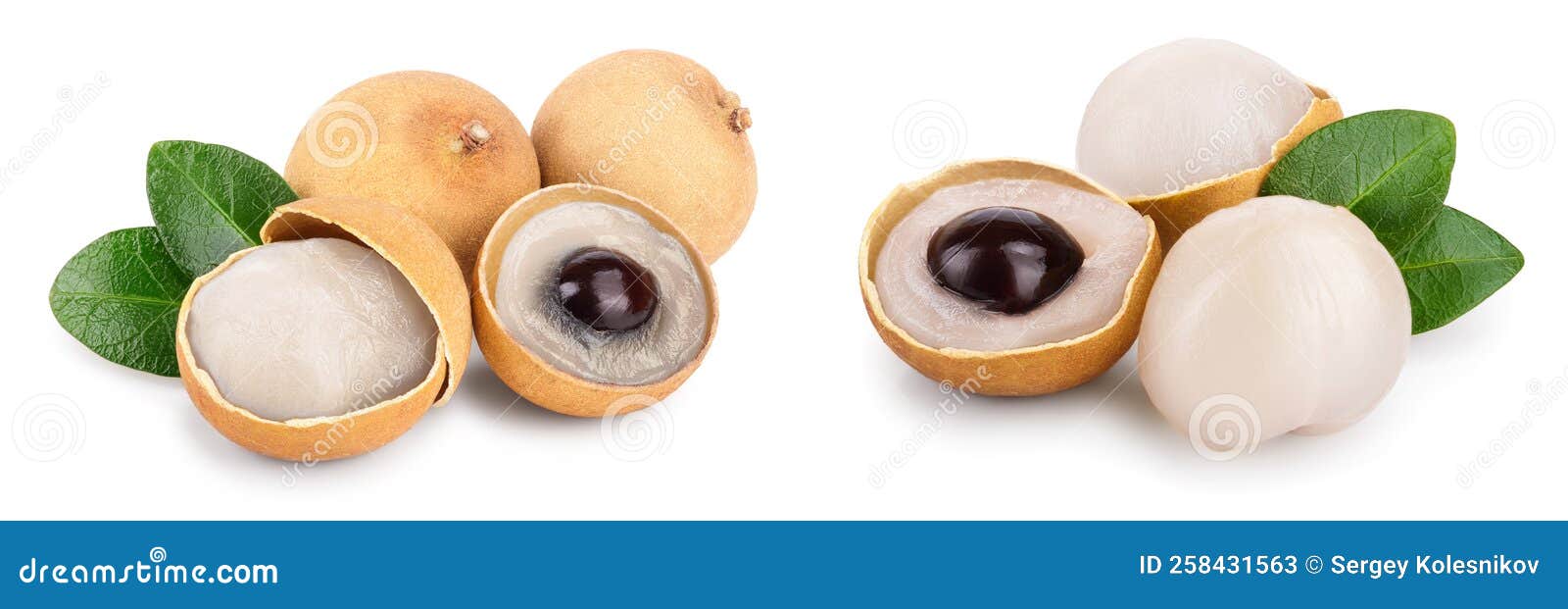 Fresh Longan Fruit with Leaves Isolated on White Background Stock Image ...