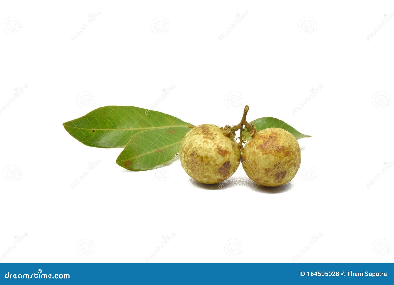 Fresh Longan Isolated on White Background Stock Photo - Image of branch ...