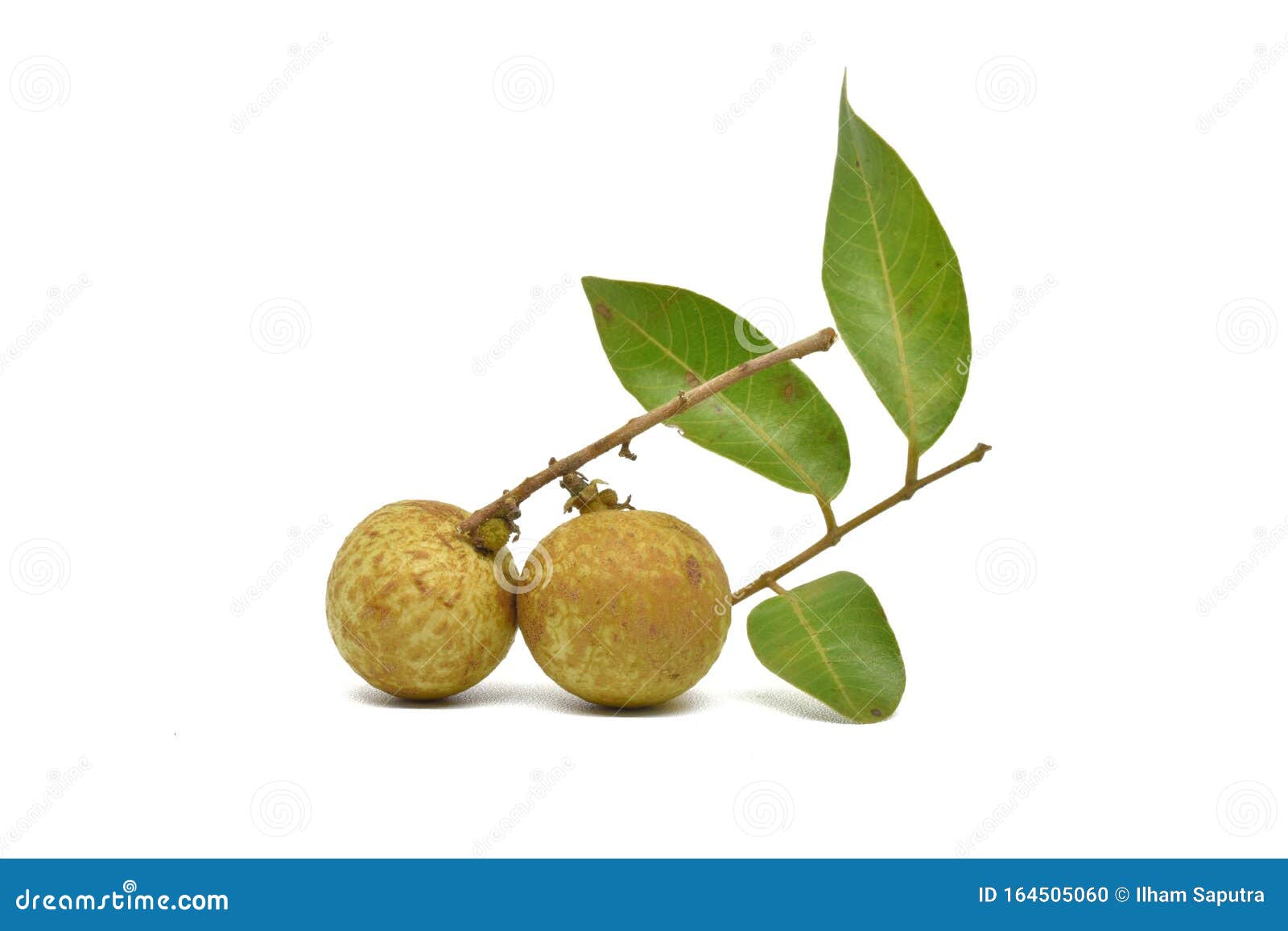 Fresh Longan Isolated on White Background Stock Photo - Image of bunch ...