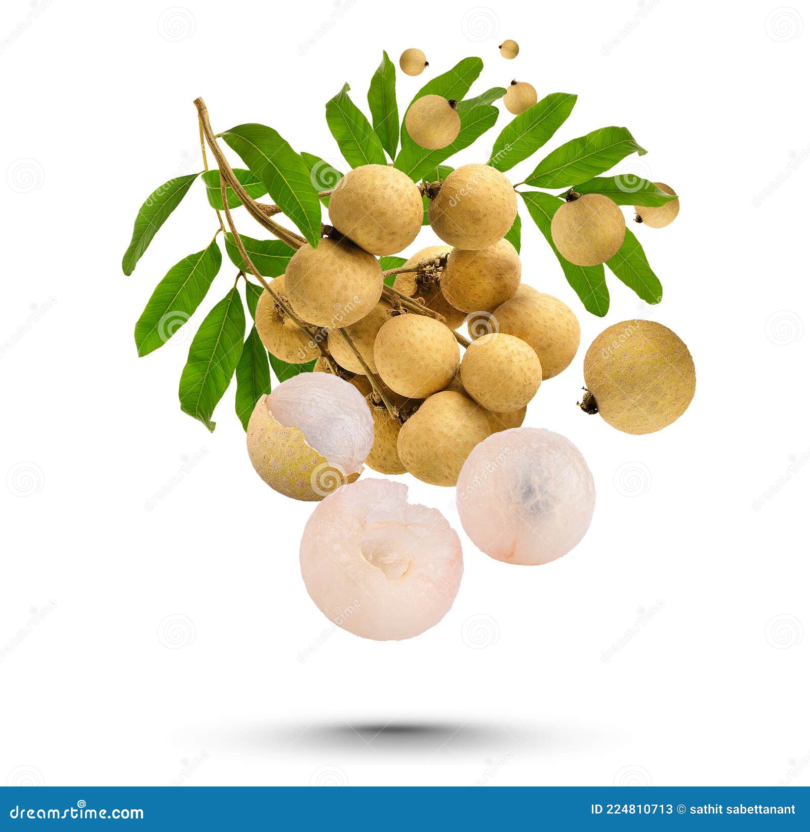 Fresh Longan with Leaves Isolated on White Background Stock Image ...
