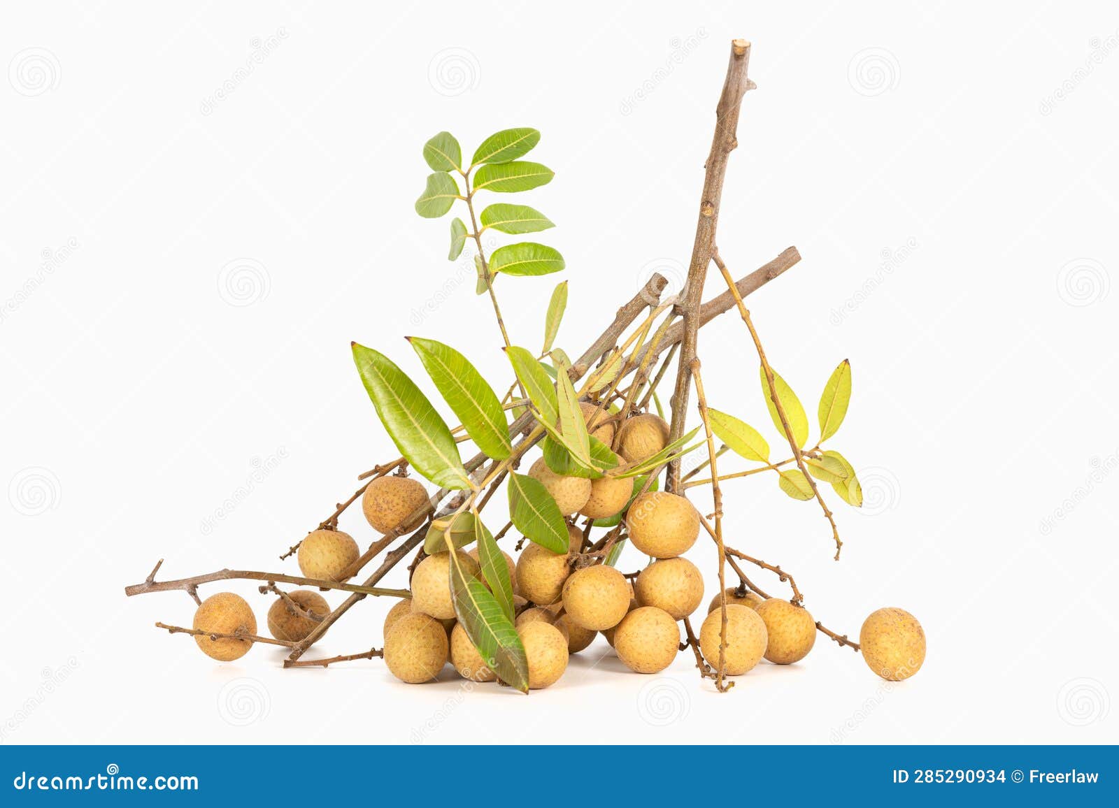 Fresh Longan with Leaves on White Background Stock Photo - Image of ...