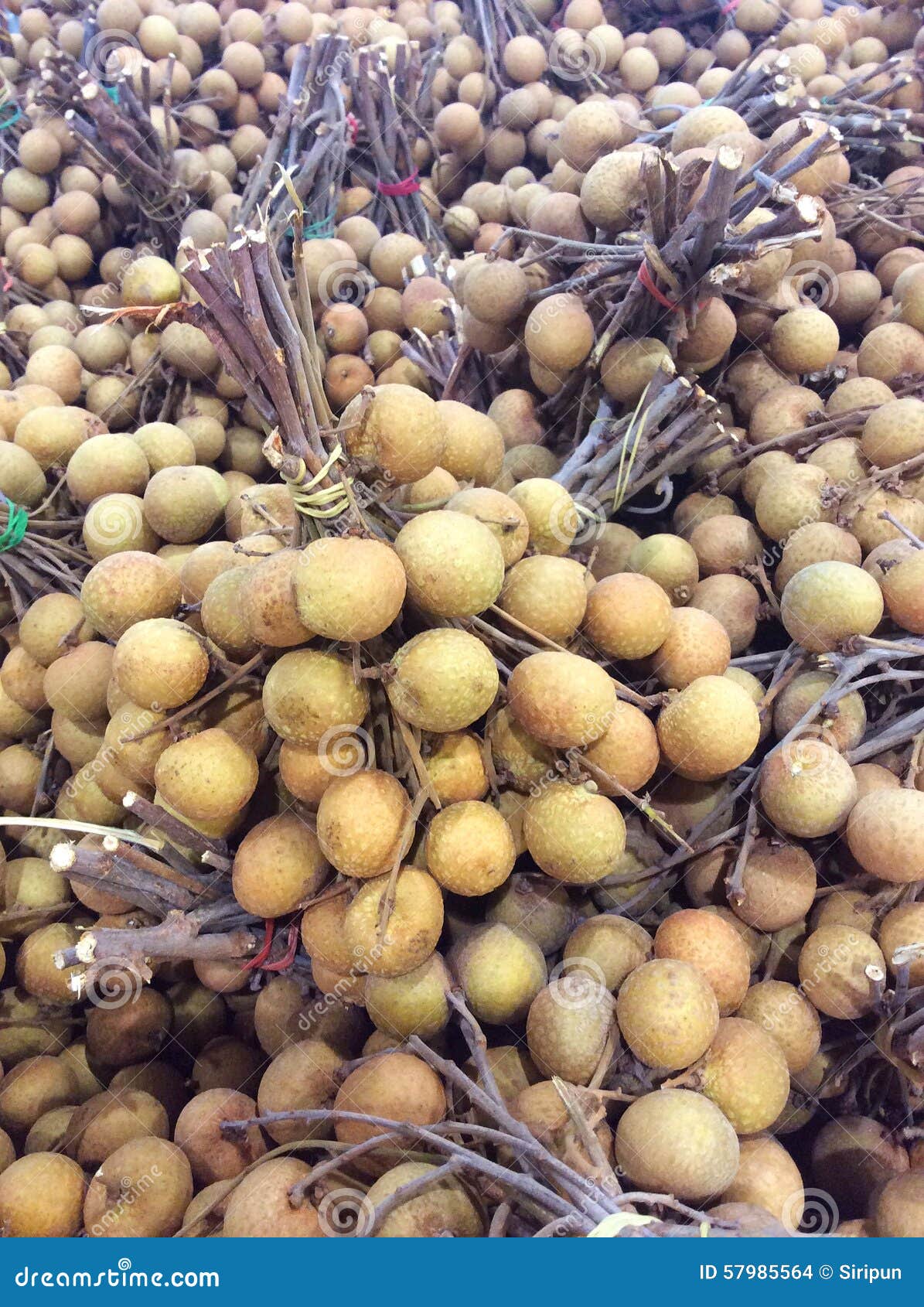 Fresh Longan Tropical Fruit Stock Photo - Image of exotic, asia: 57985564