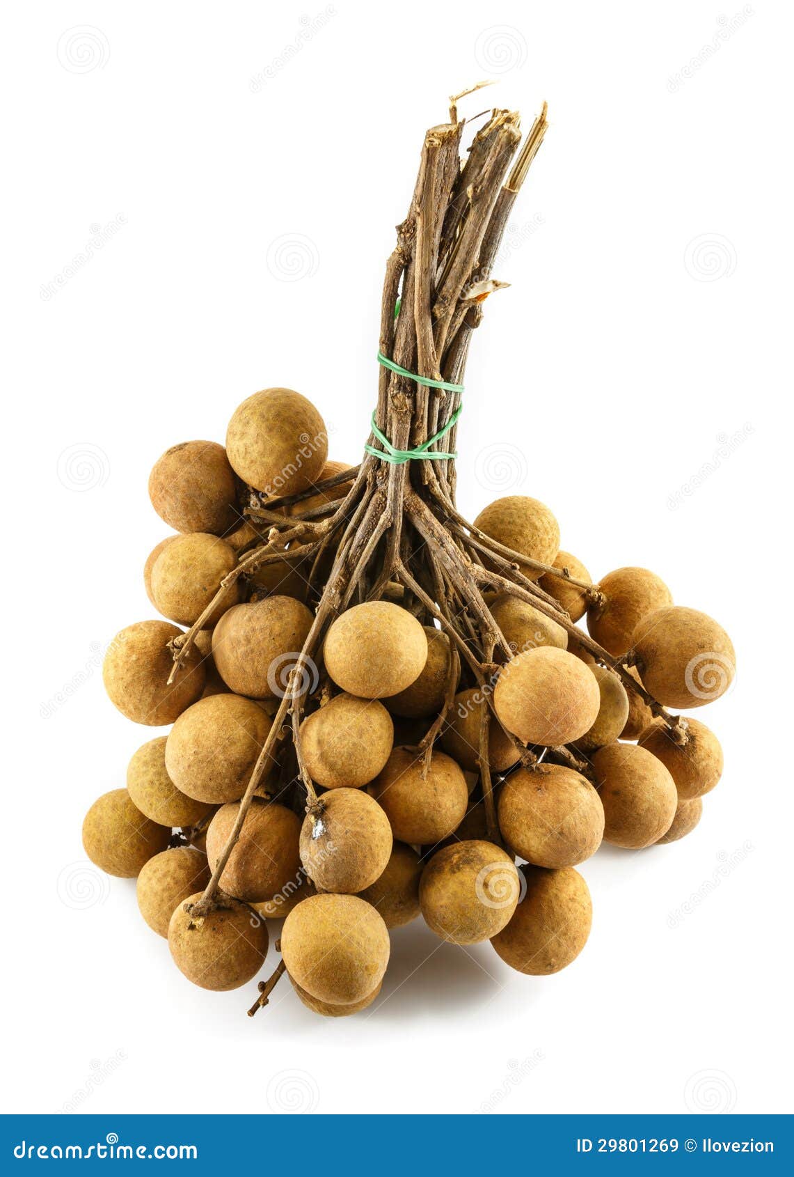 Fresh Longans Fruits Isolated on White Stock Image - Image of nutrition ...