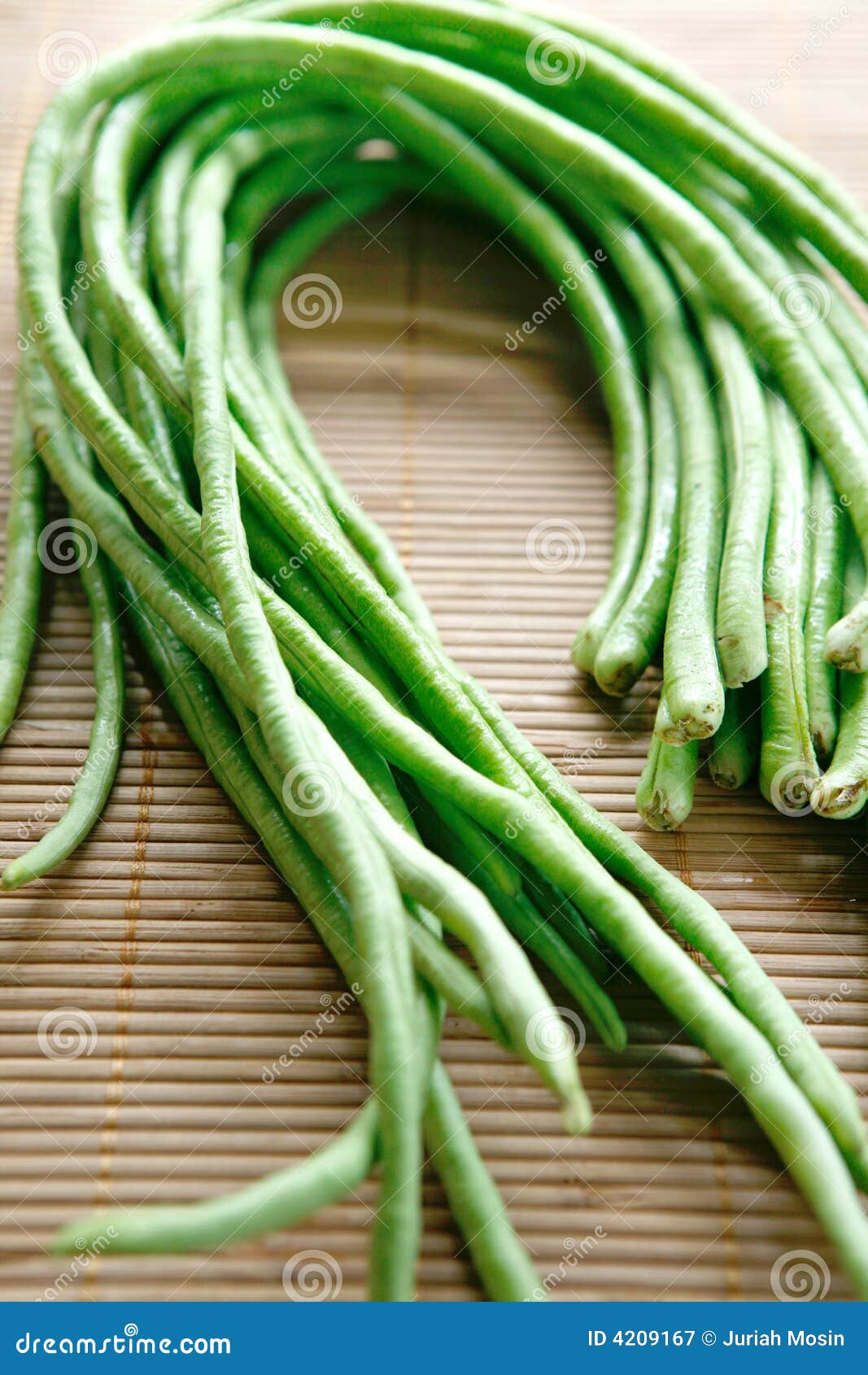 Fresh longbean stock image. Image of fresh, crunchy, green - 4209167