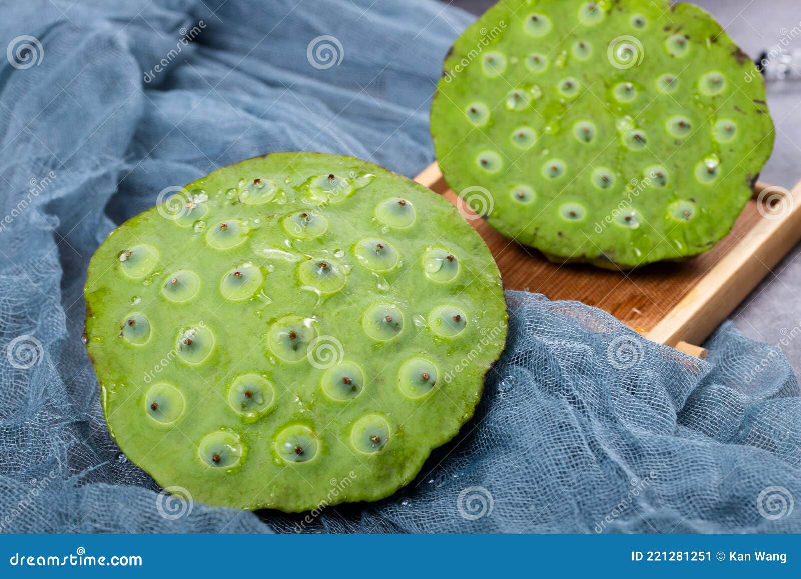 Fresh lotus stock image. Image of scene, closeup, reduce - 221281251