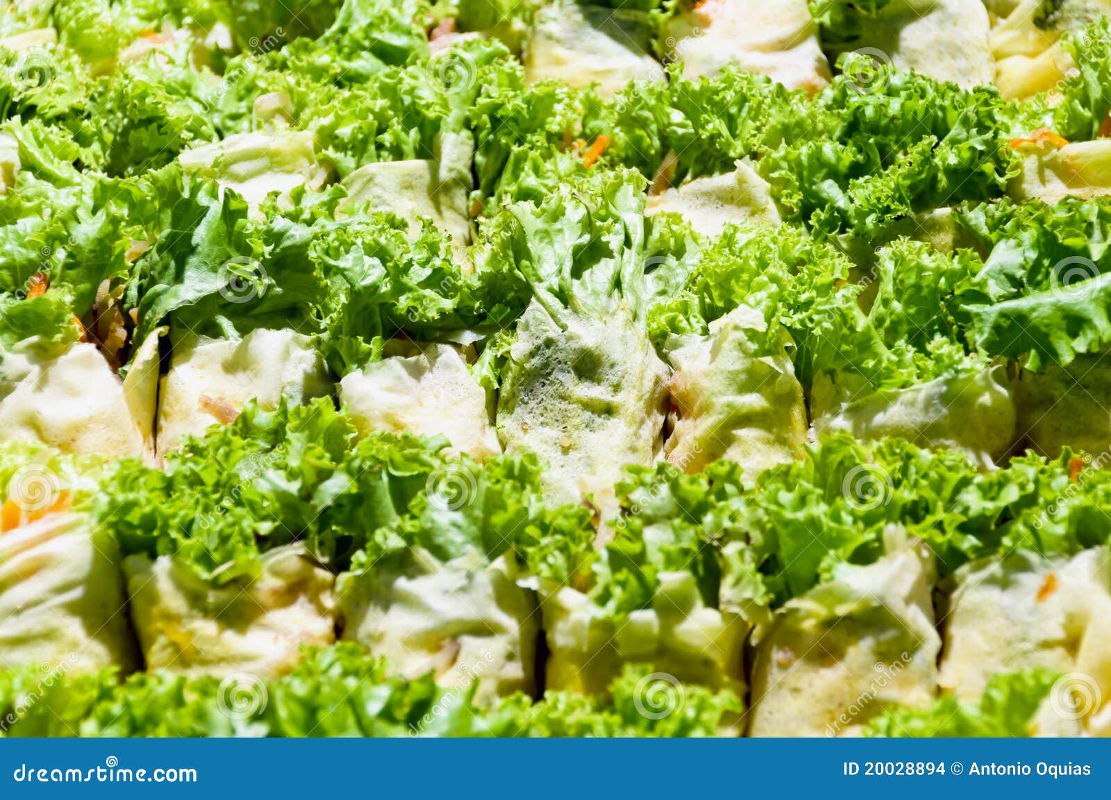 Fresh Lumpia stock photo. Image of vegetables, leaf, filipino - 20028894