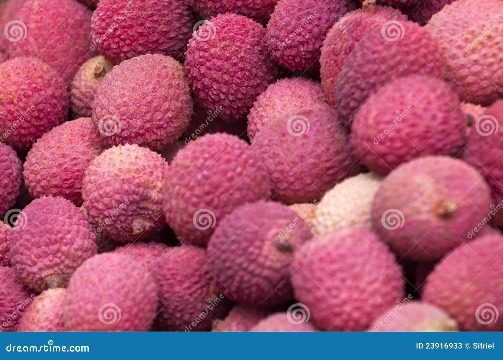 Fresh lychee stock image. Image of fresh, plant, delicious - 23916933