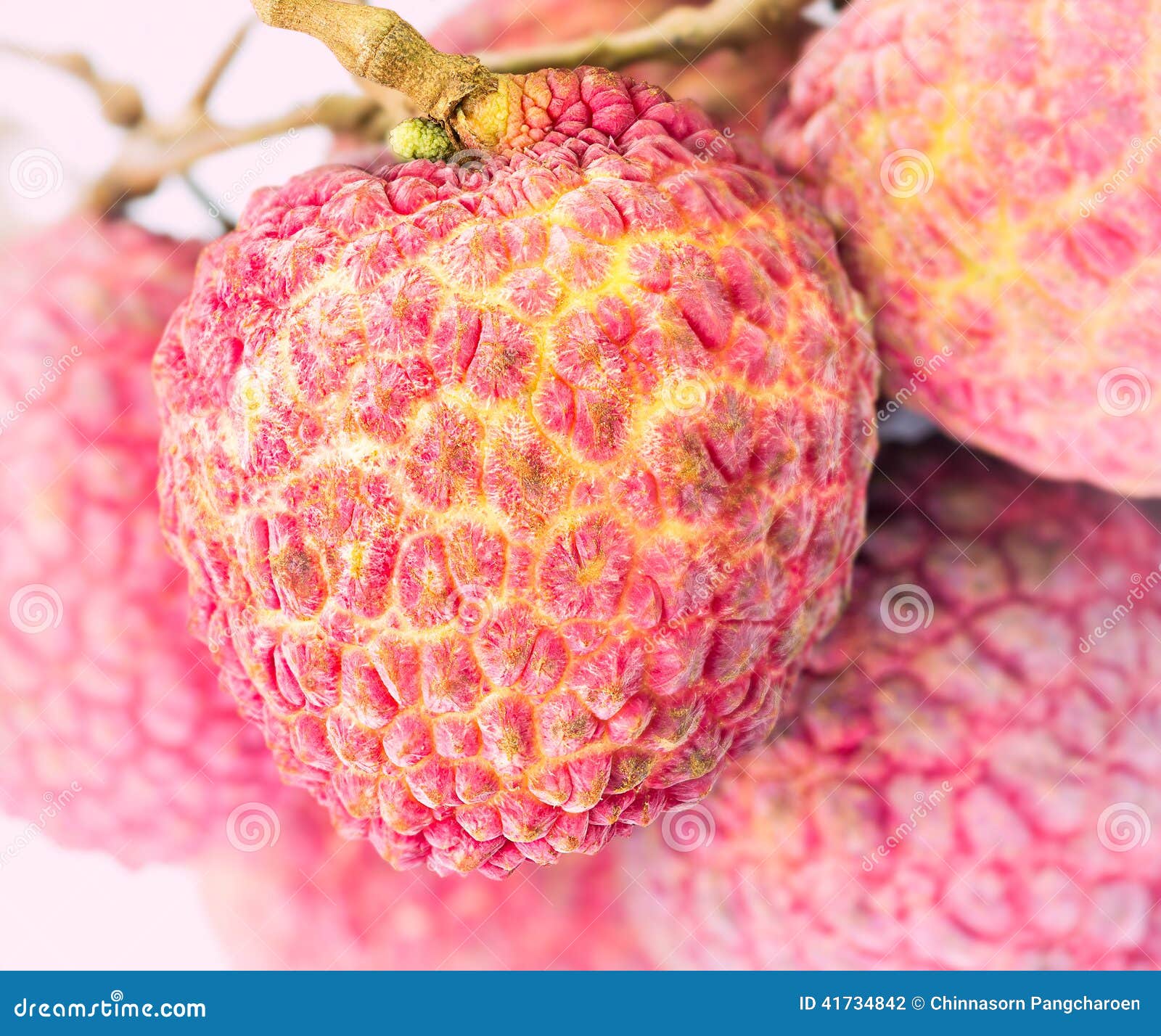 Fresh lychee stock photo. Image of organic, healthy, crop - 41734842