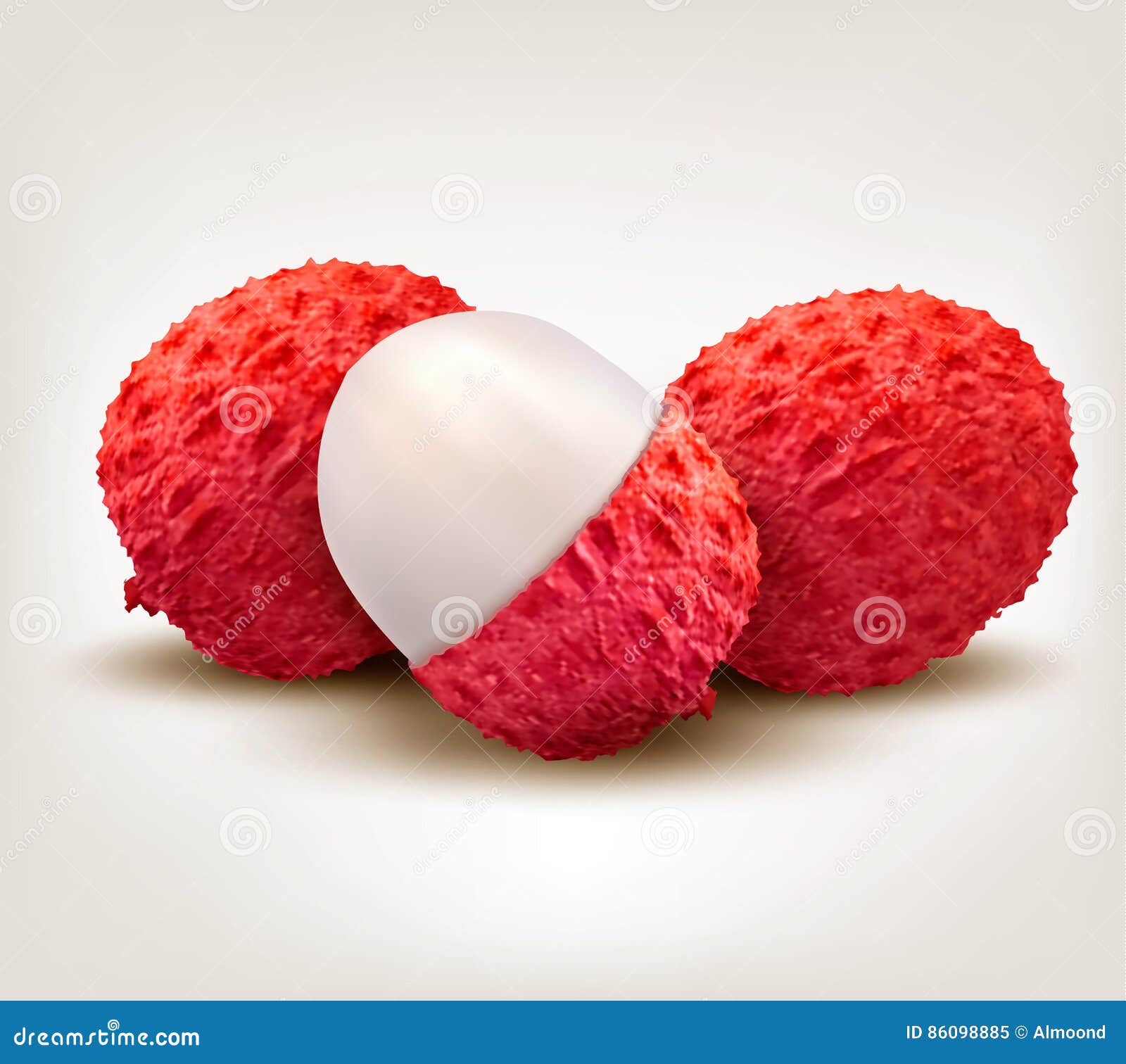 Fresh Lychee fruit. Vector stock vector. Illustration of white - 86098885