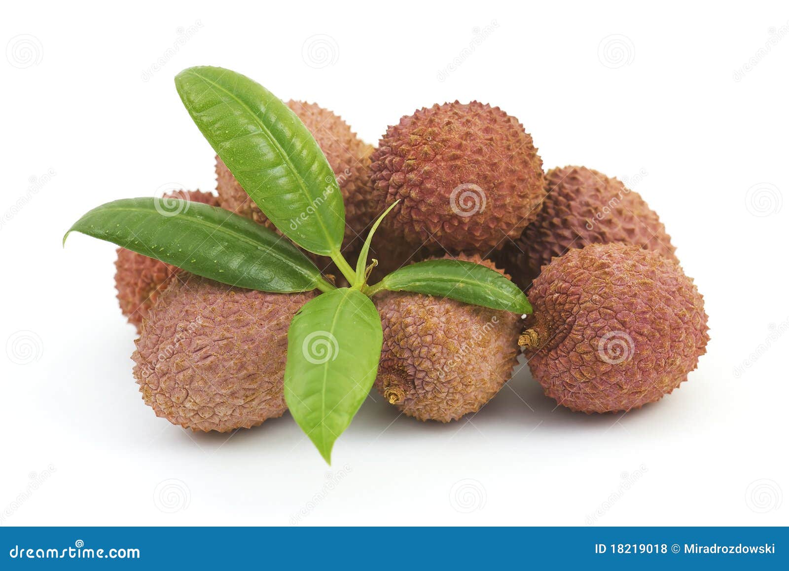 Fresh lychee fruits stock photo. Image of freshness, subtropical - 18219018