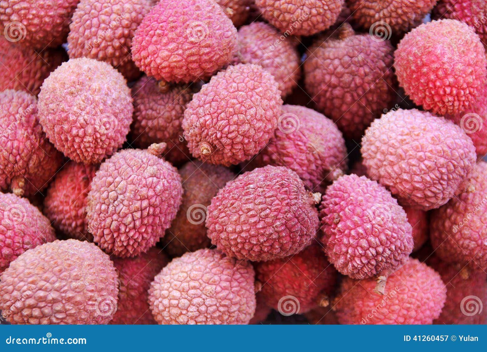 Fresh lychee fruits stock image. Image of fresh, frame - 41260457