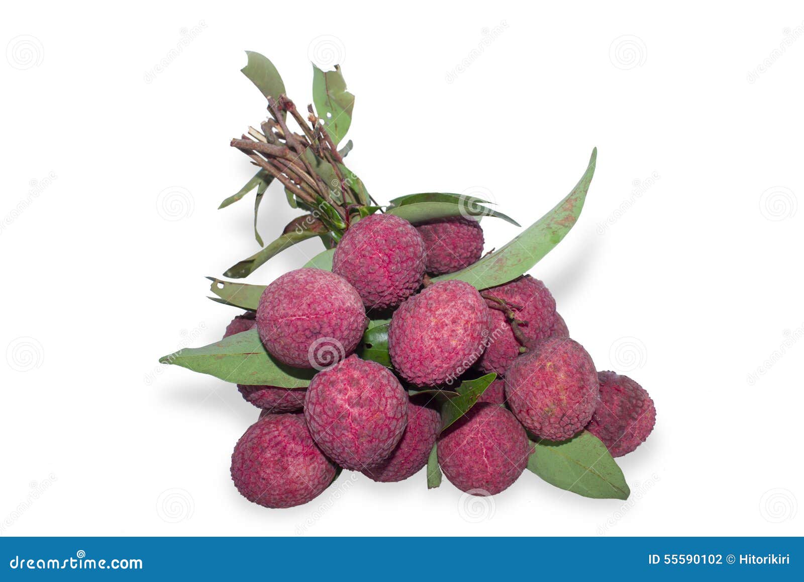 Fresh lychee fruits stock photo. Image of lychee, freshness - 55590102