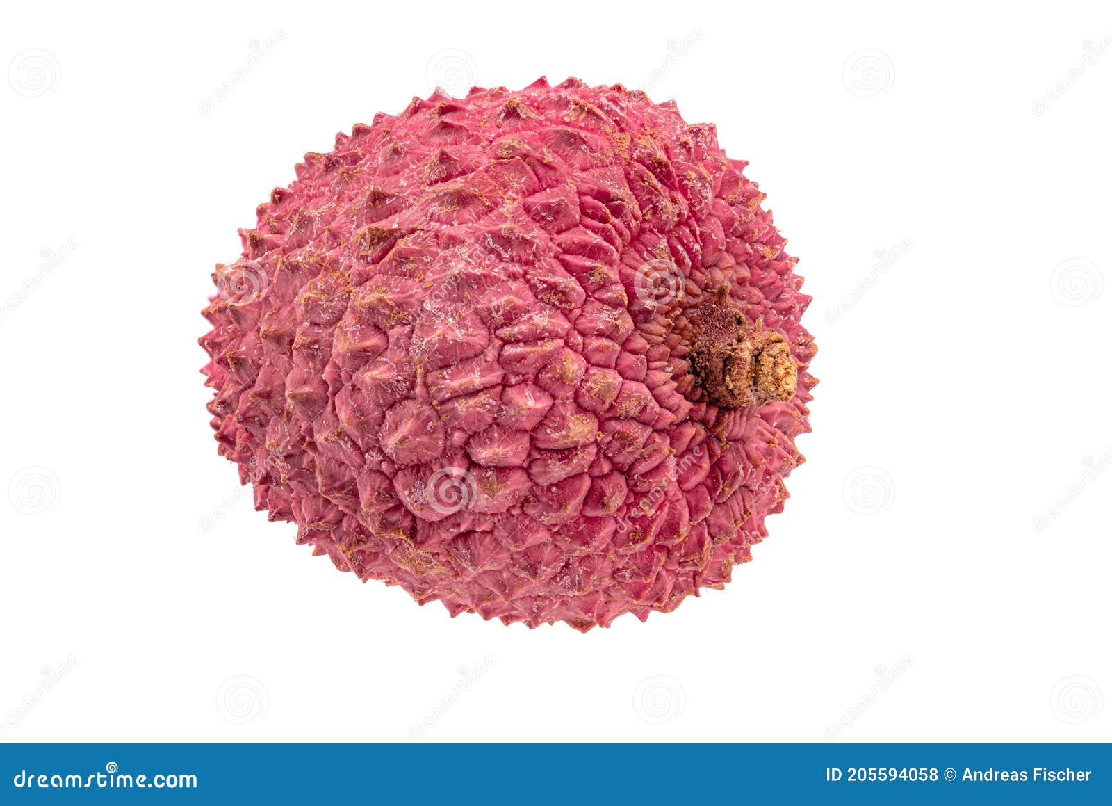 Fresh Lychee Isolated on White Background Stock Photo - Image of ...