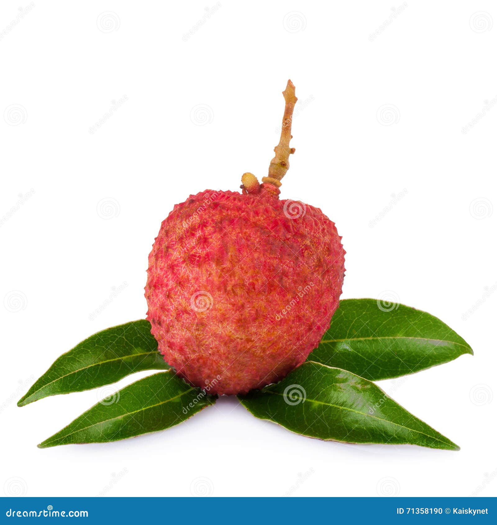Fresh Lychees Isolated on White Stock Photo - Image of antioxidant ...