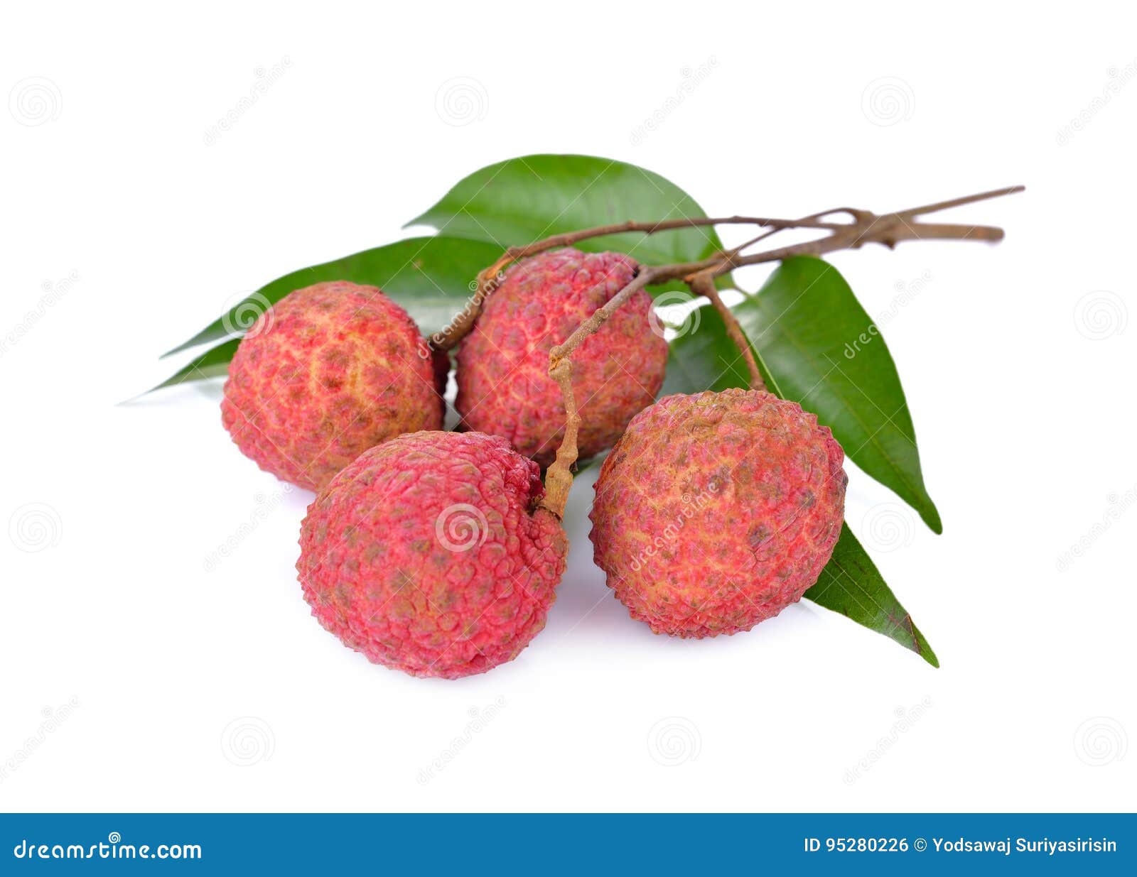 Fresh Lychees with Leaves and Stem on White Background Stock Photo ...