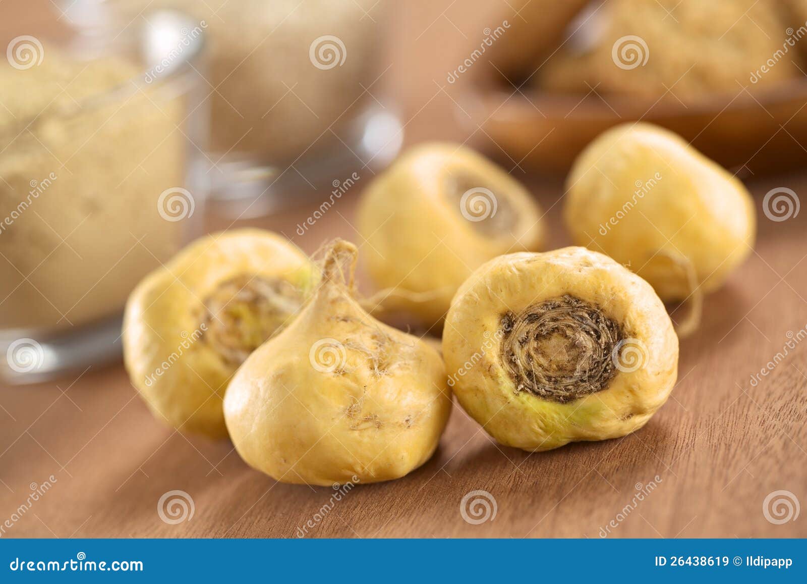 Fresh Maca Roots stock image. Image of plant, root, lepidium - 26438619