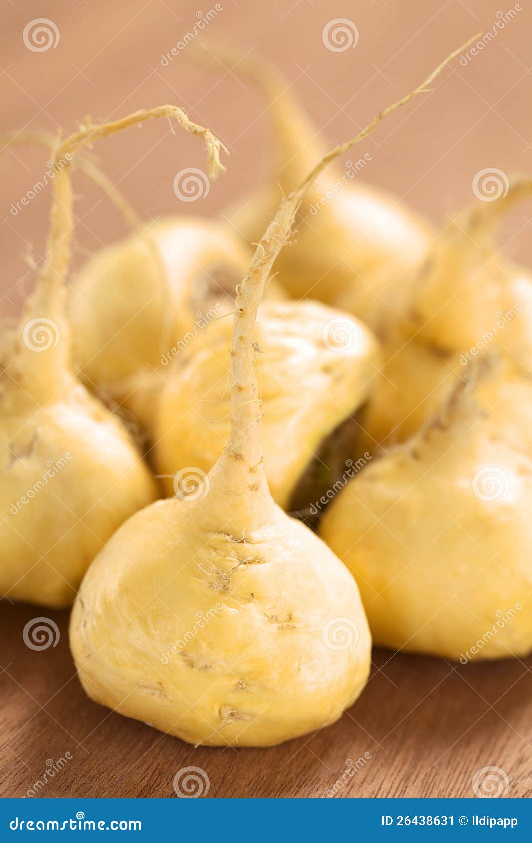 Fresh Maca Roots Stock Image - Image: 26438631