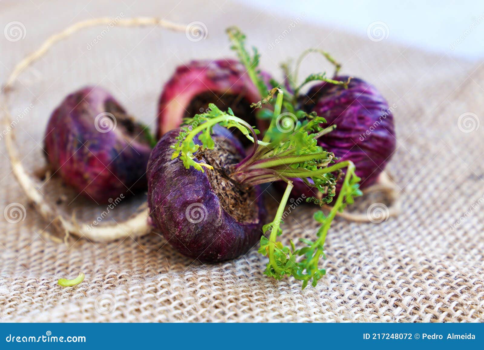 Fresh Maca Roots or Peruvian Ginseng Stock Photo - Image of fresh ...