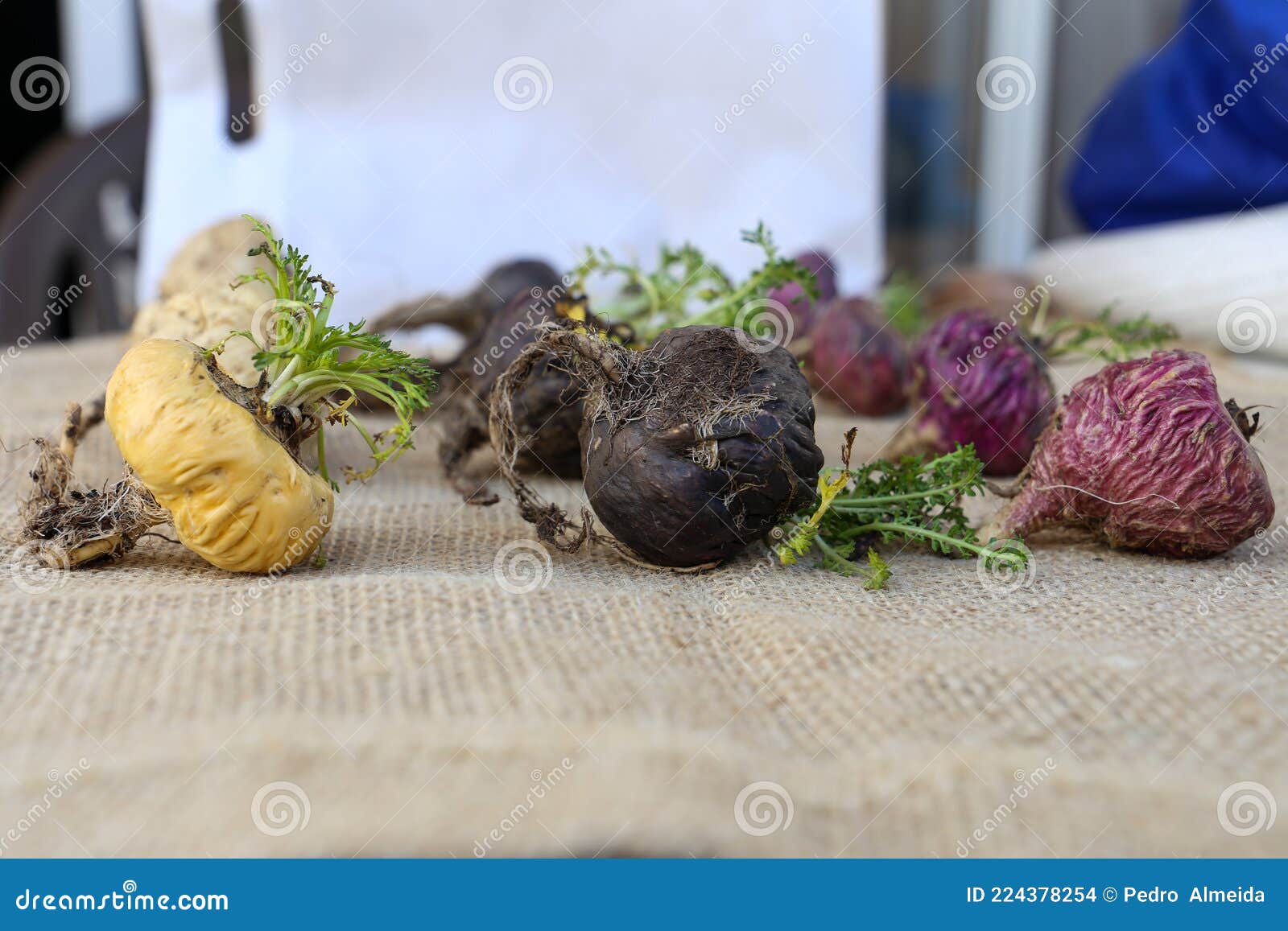 Fresh Maca Roots or Peruvian Ginseng Stock Photo - Image of healthy ...