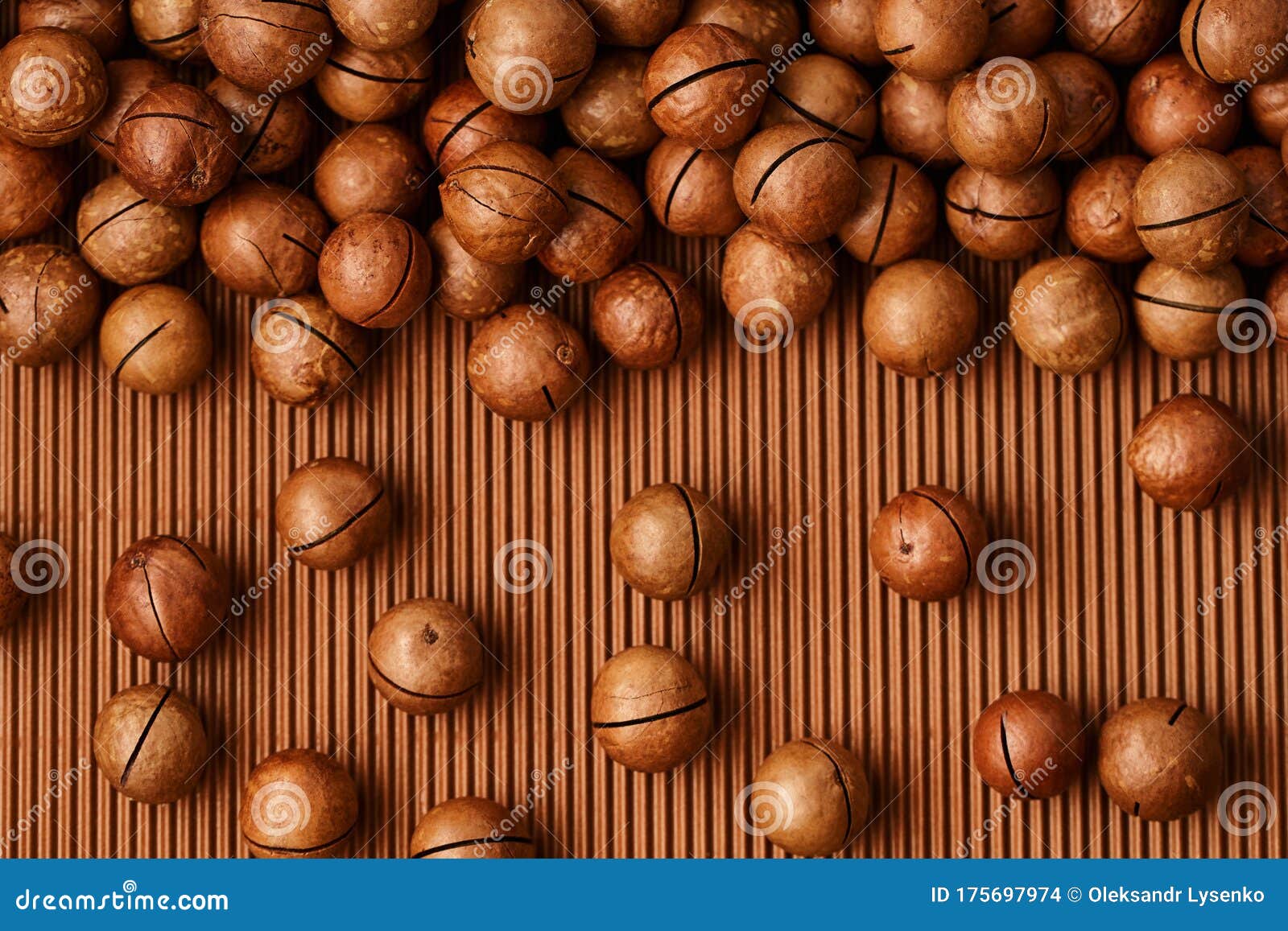 Fresh macadam nut stock photo. Image of healthy, nutrition - 175697974