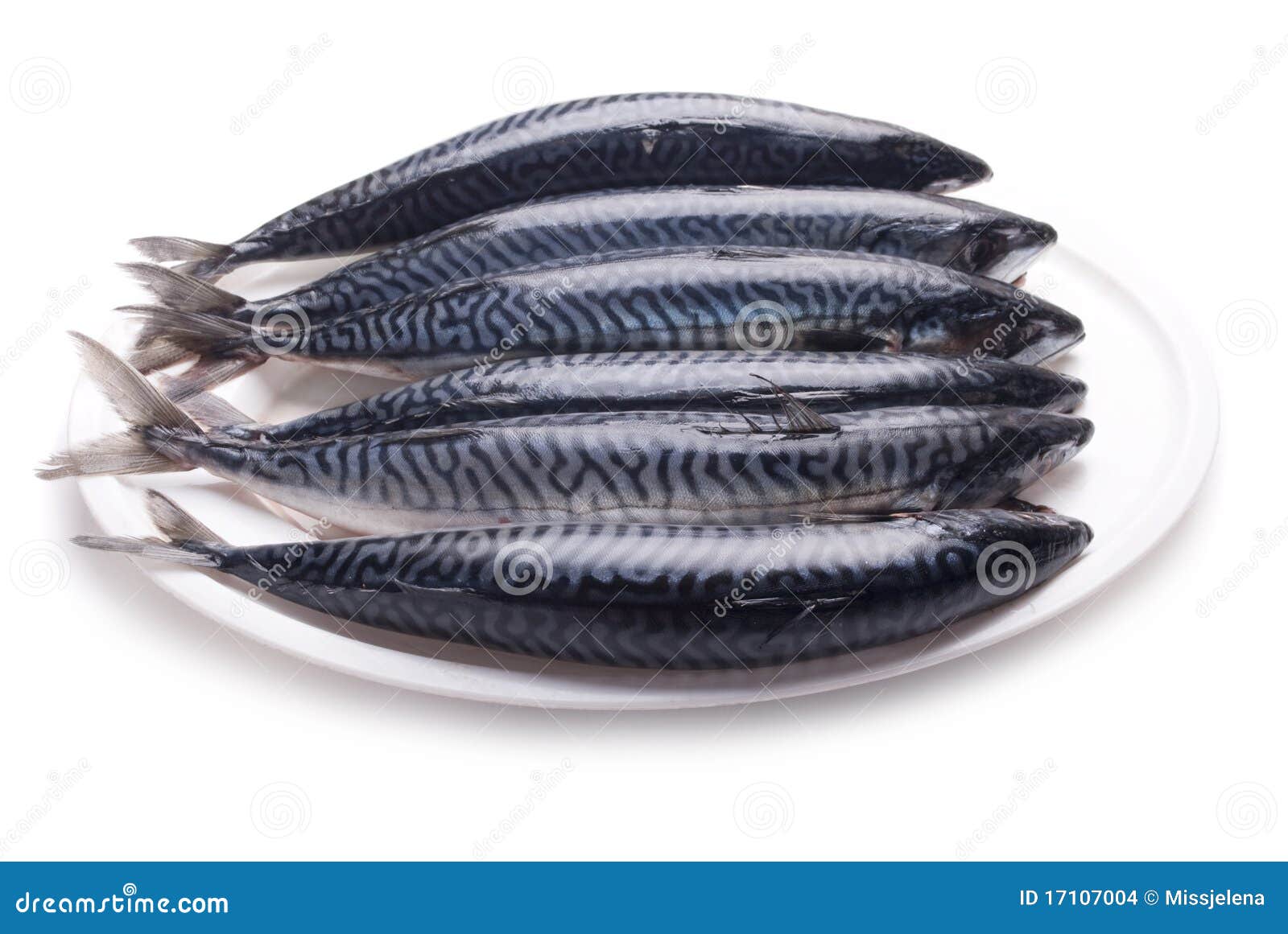 Fresh mackarel stock photo. Image of fish, kitchen, nutritious - 17107004