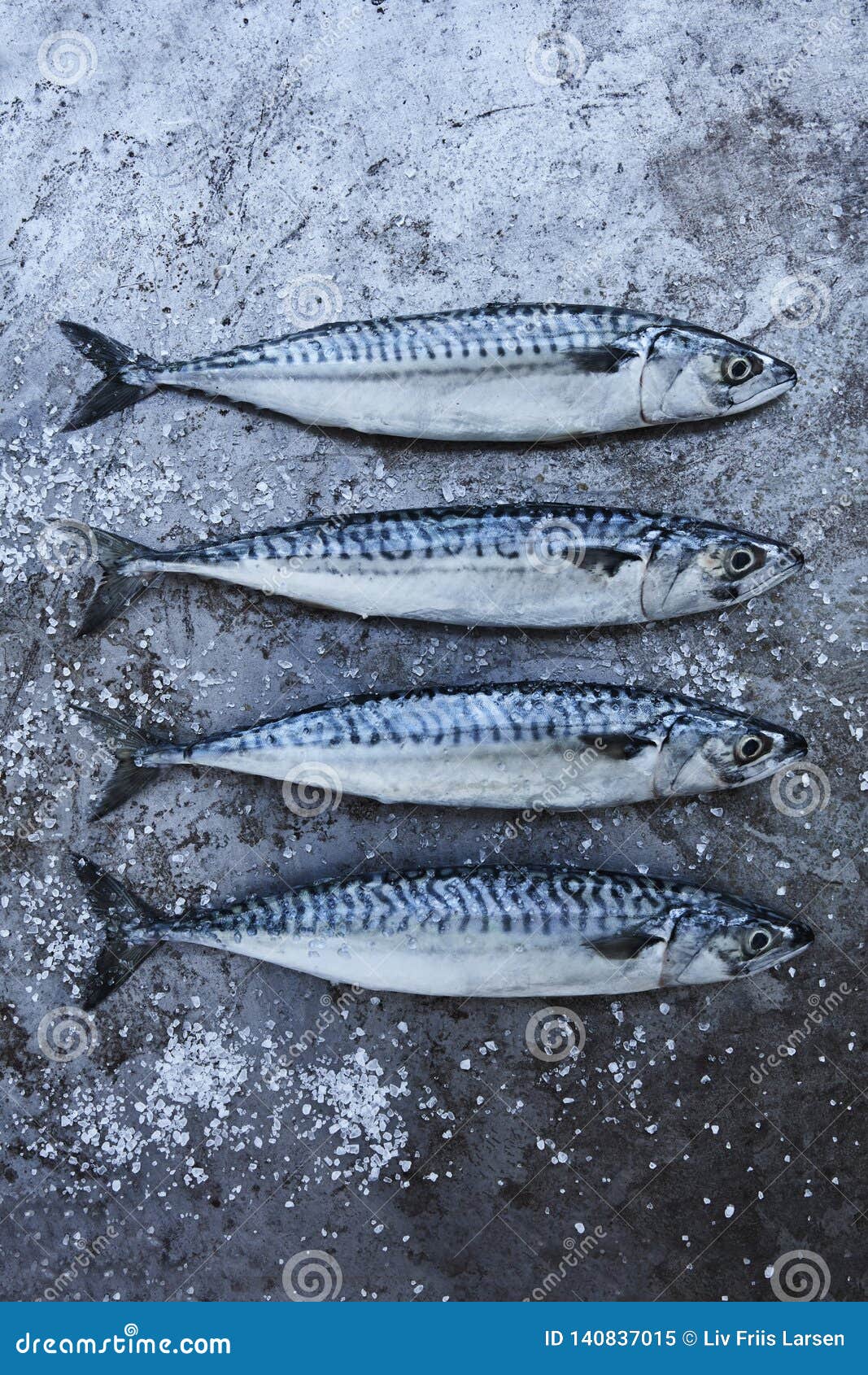 Fresh Mackerel on a Stone Surface Stock Image - Image of surface, fresh ...