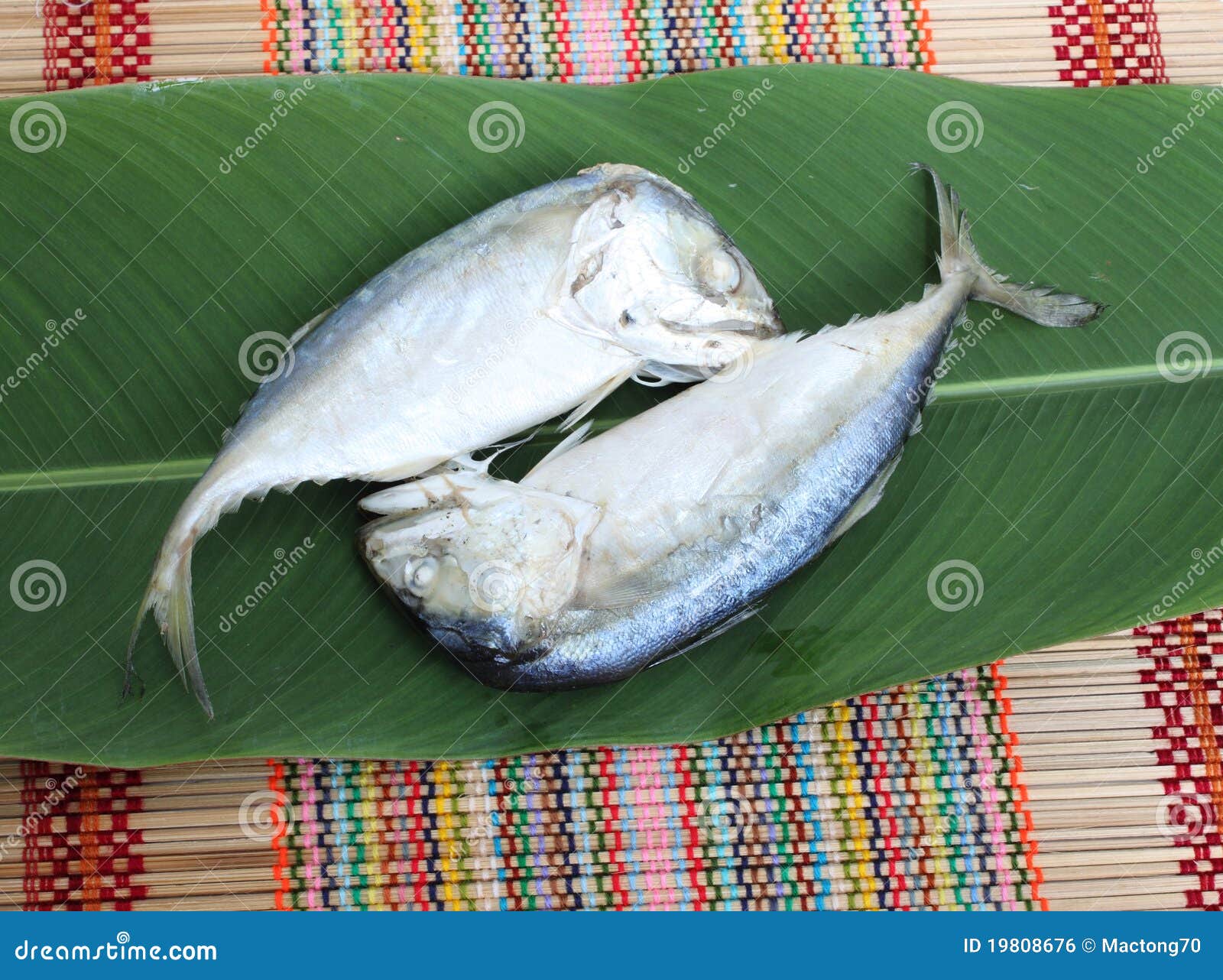 Fresh mackerel stock photo. Image of food, animal, fish - 19808676