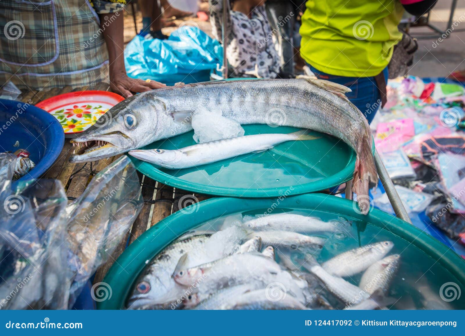 Fresh mackerel fish stock photo. Image of bream, mackerel - 124417092