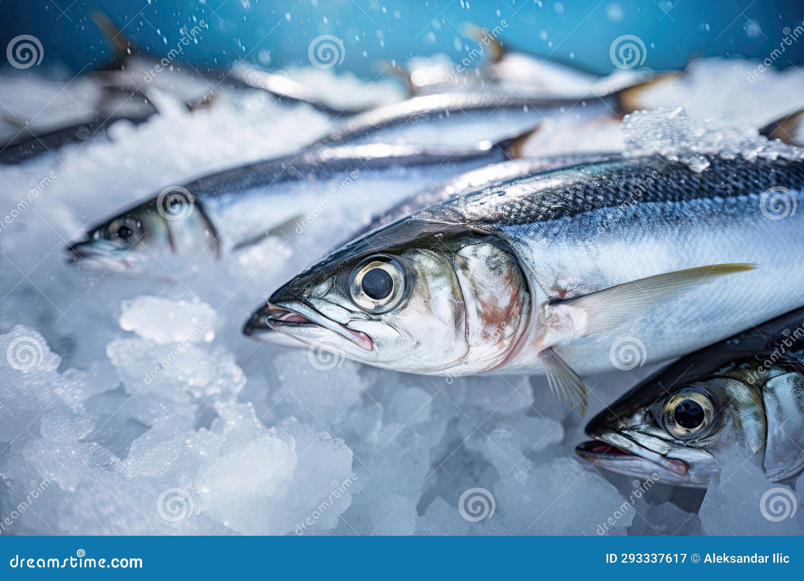 Fresh Mackerel Fish on Ice. Ai Generative Stock Image - Image of ...