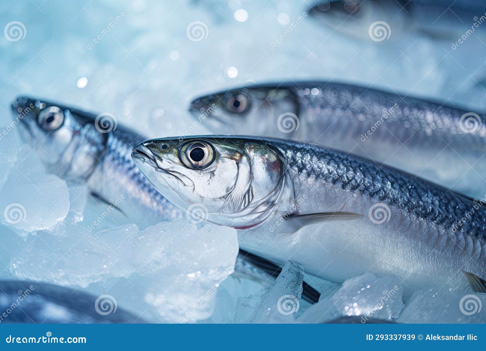 Fresh Mackerel Fish on Ice. Ai Generative Stock Image - Image of food ...